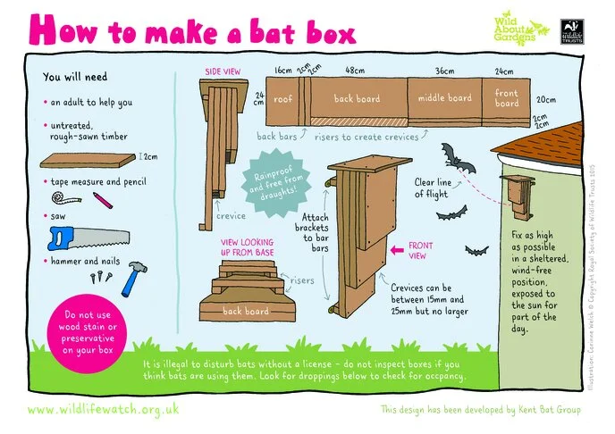 Bruces Bat Box — Creative Briefs Resources