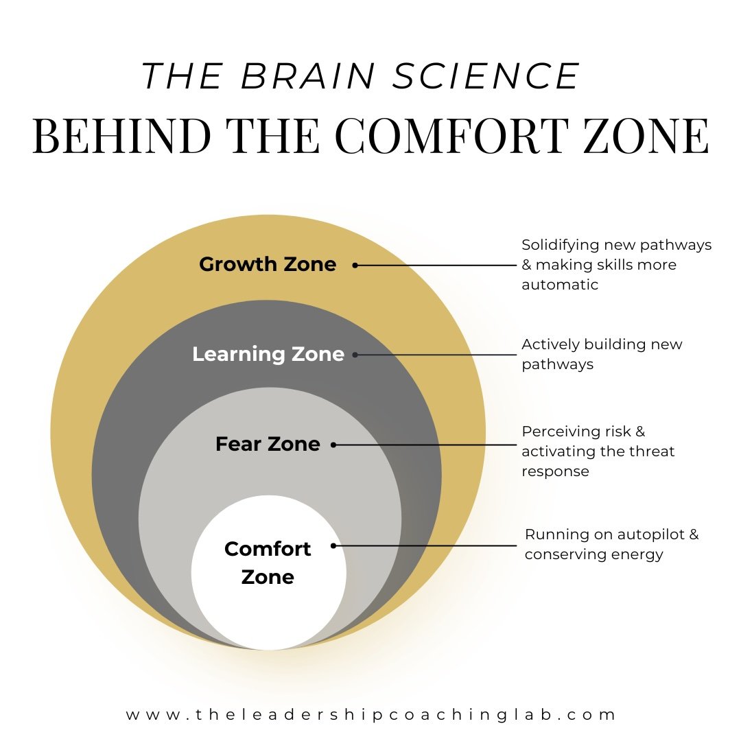 The Comfort Zone Model: Brain Science + 9 Coaching Questions to Push ...