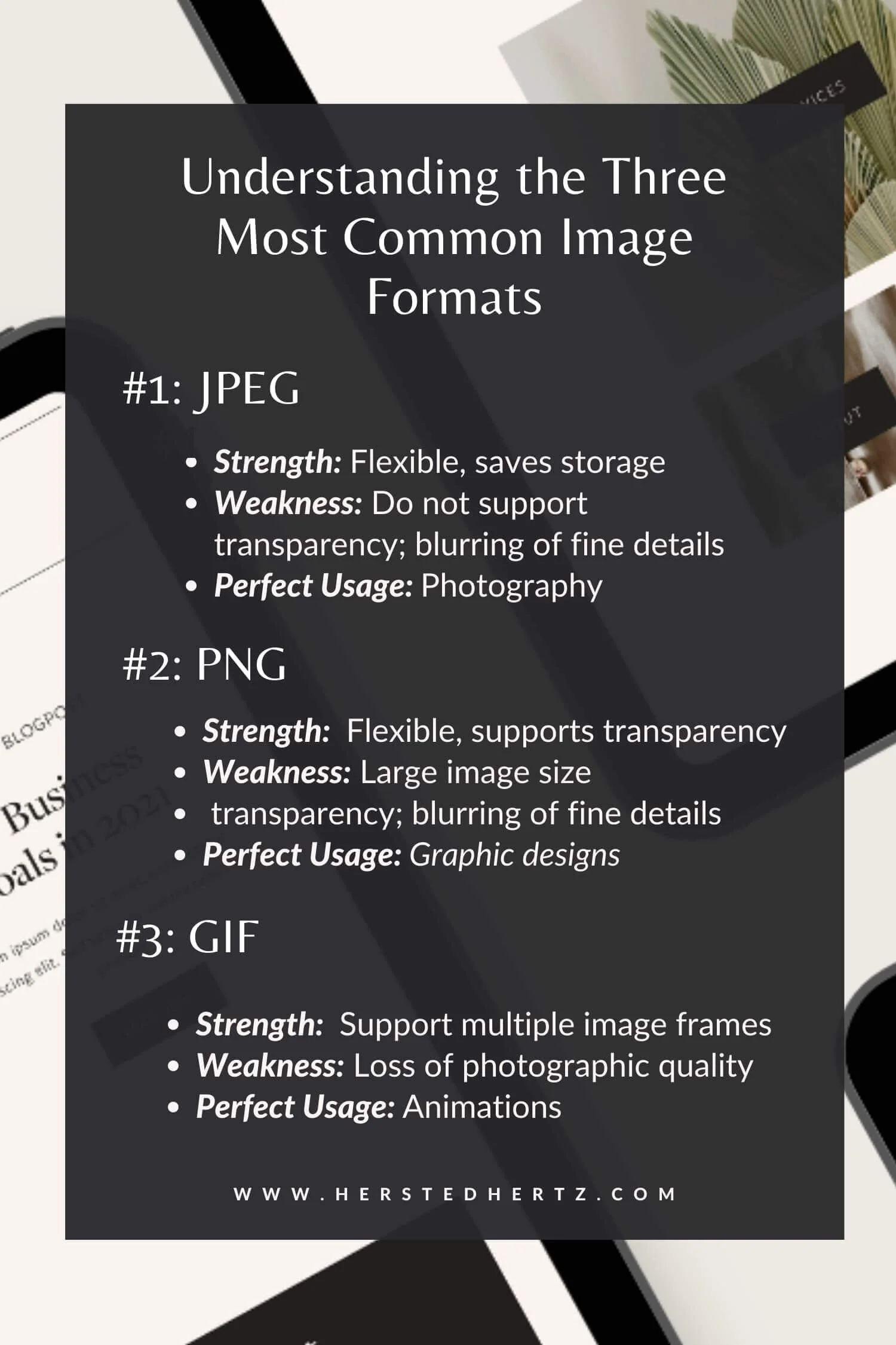 Understanding the Image Files - When to use JPEG, PNG, GIF — HERSTED HERTZ