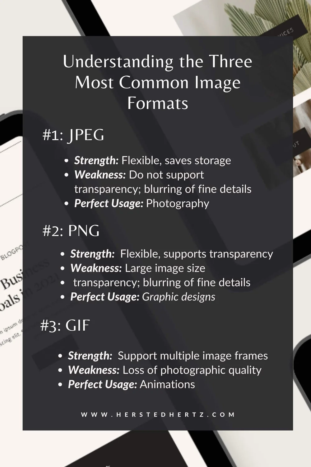 Understanding the Image Files - When to use JPEG, PNG, GIF — HERSTED HERTZ