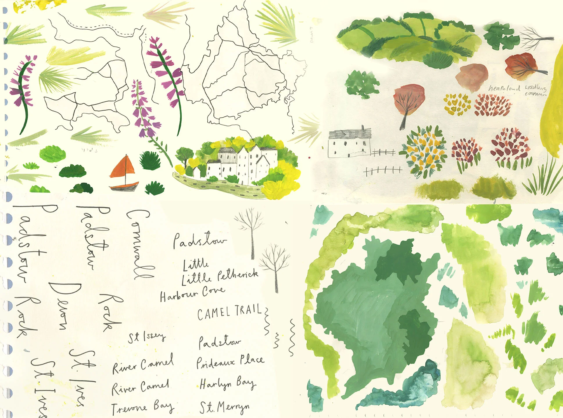 Personal Work & Sketchbook — Clair Rossiter Illustration