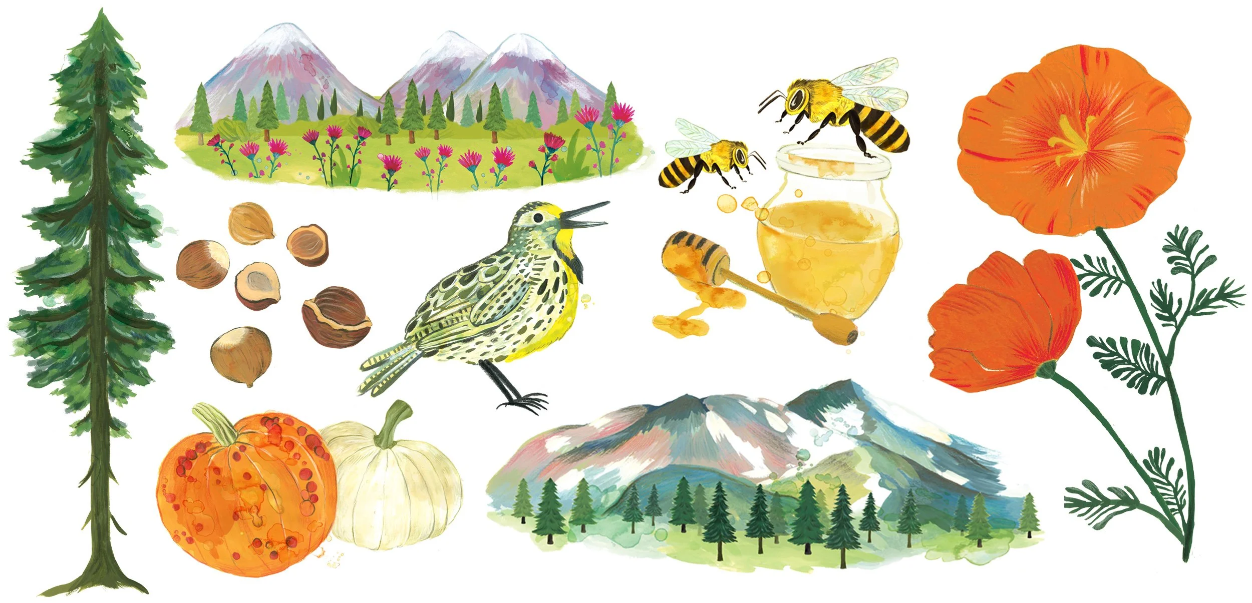 Illustrated Maps — Clair Rossiter Illustration