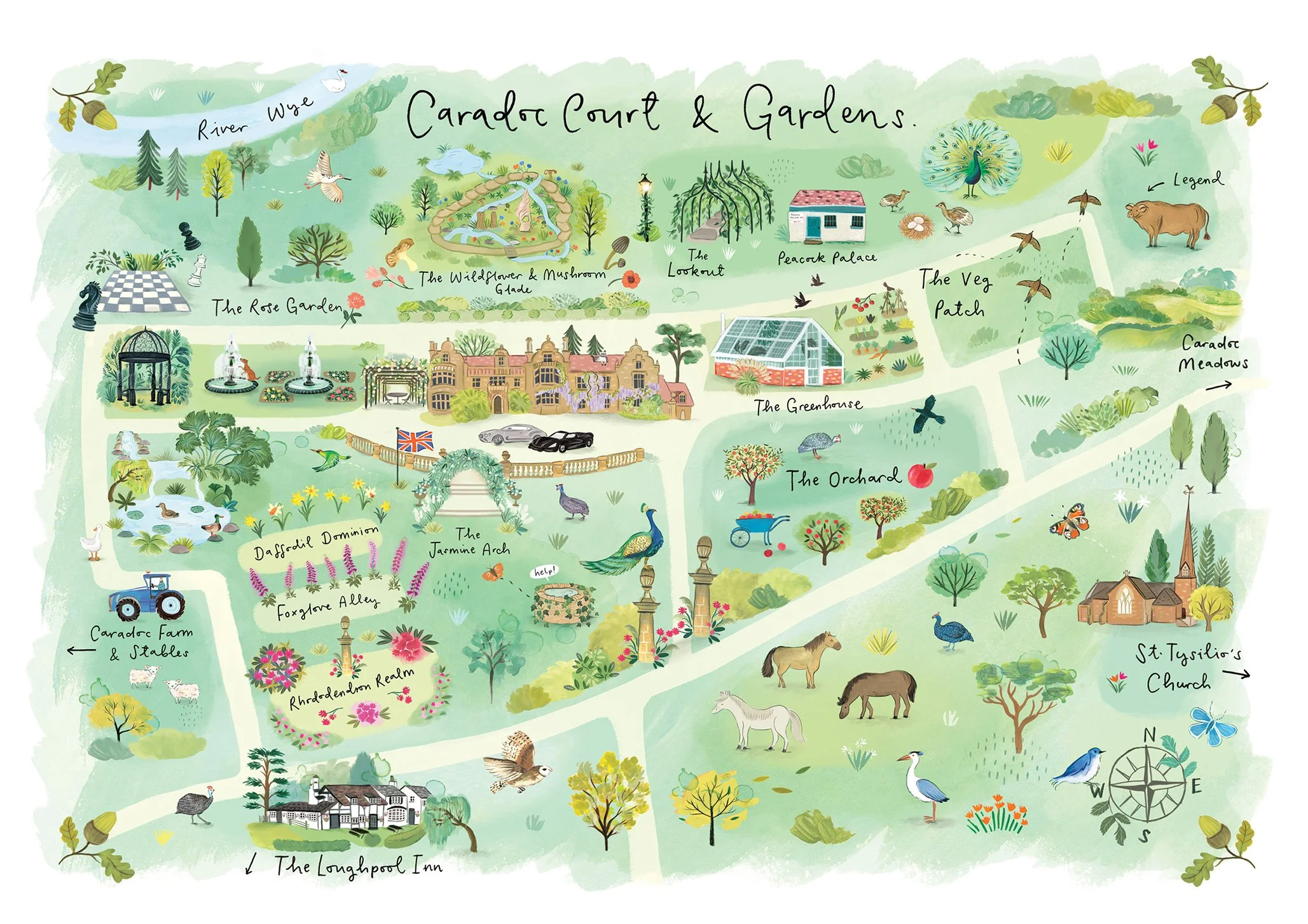 Illustrated Maps — Clair Rossiter Illustration