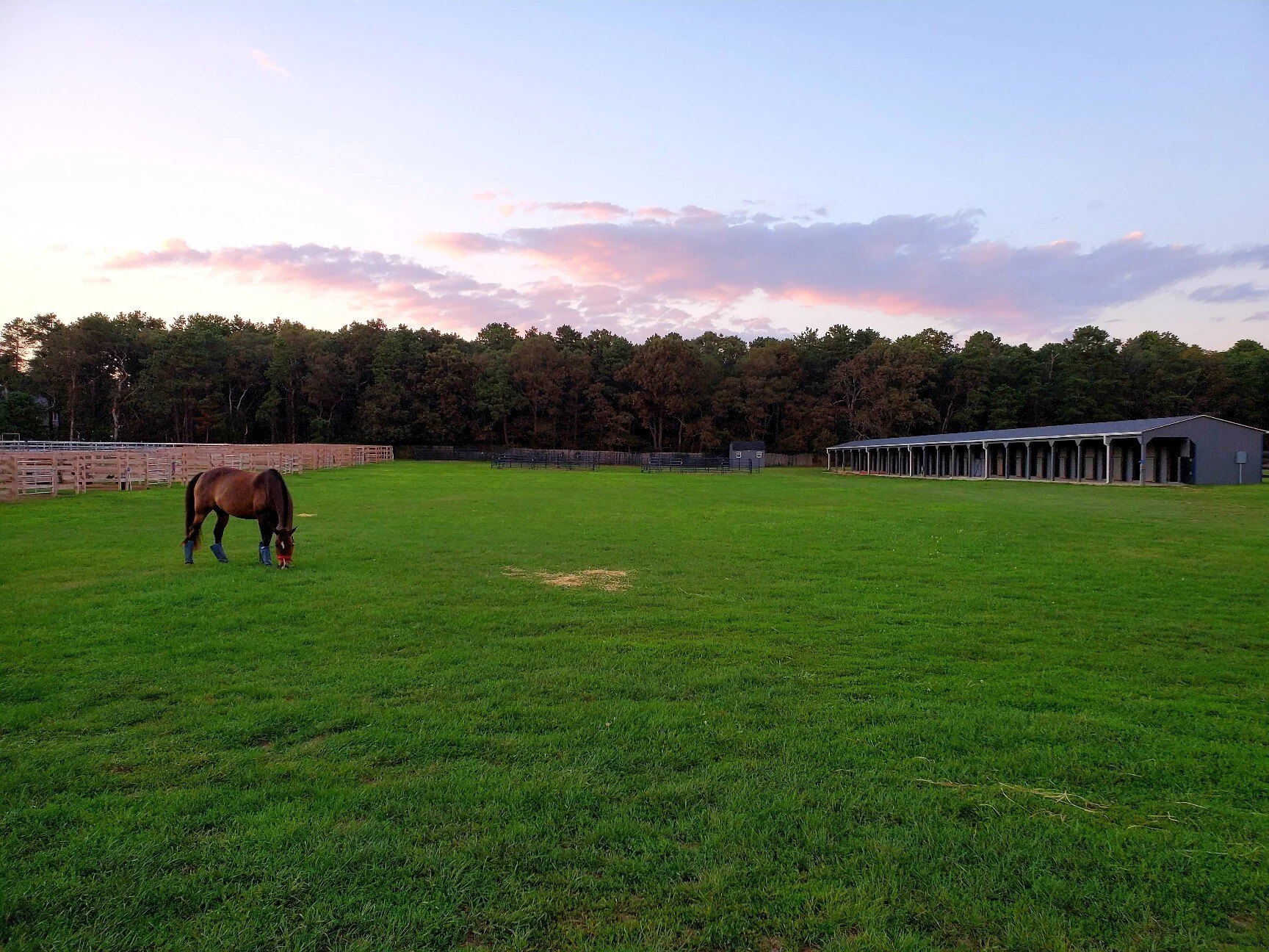 Photos — Choya Farms Inc.