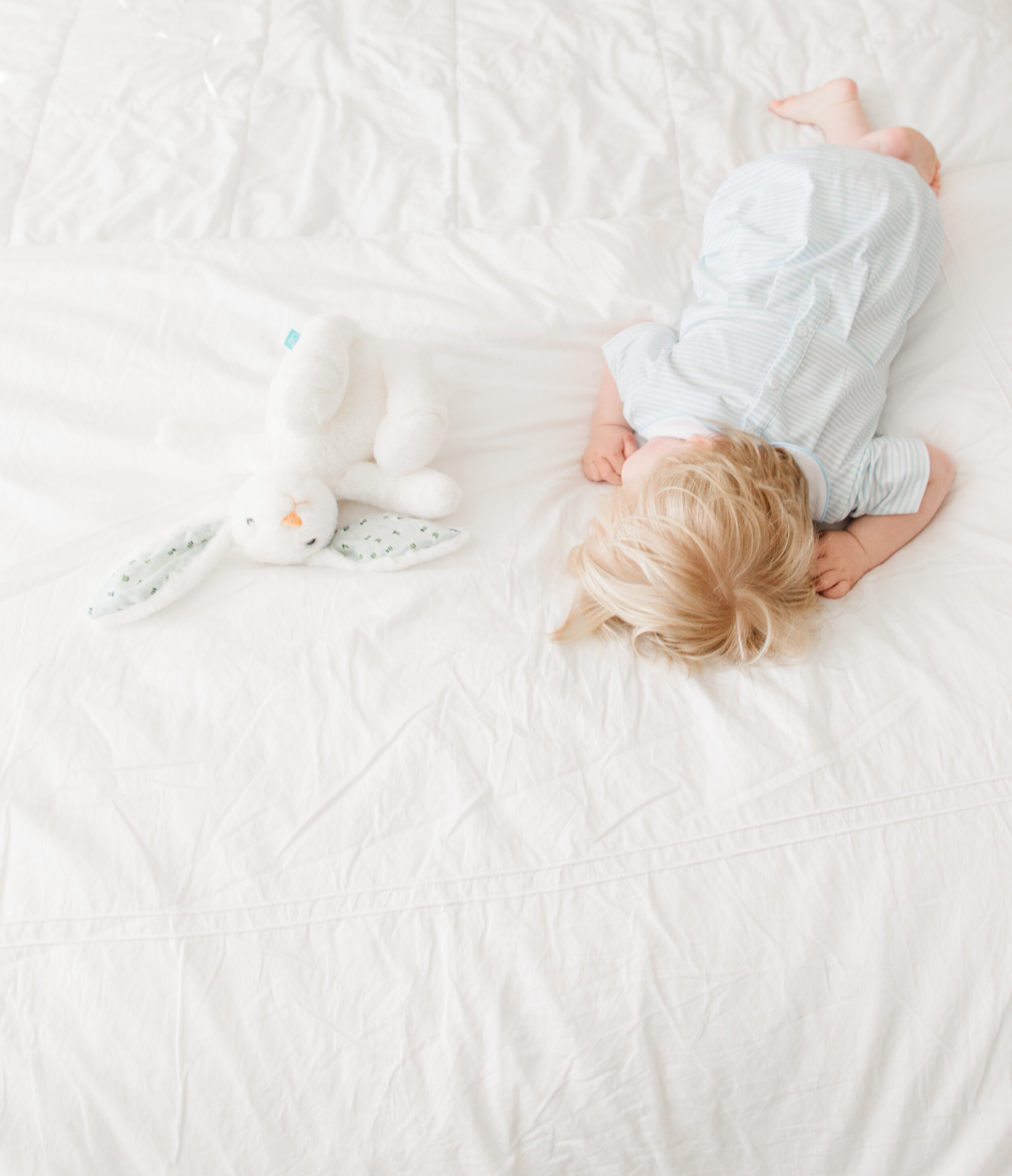 ERICA LAMBERT PHOTOGRAPHY