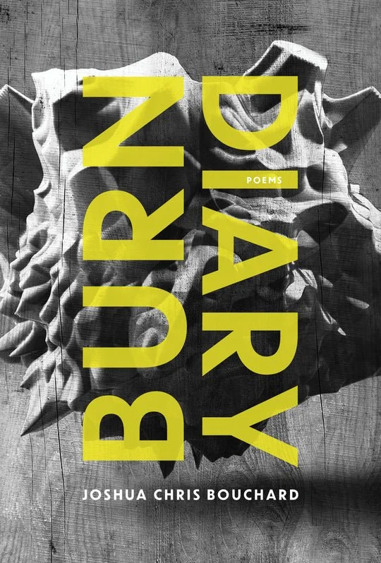 BLBB - Burn Diary — The Ampersand Review