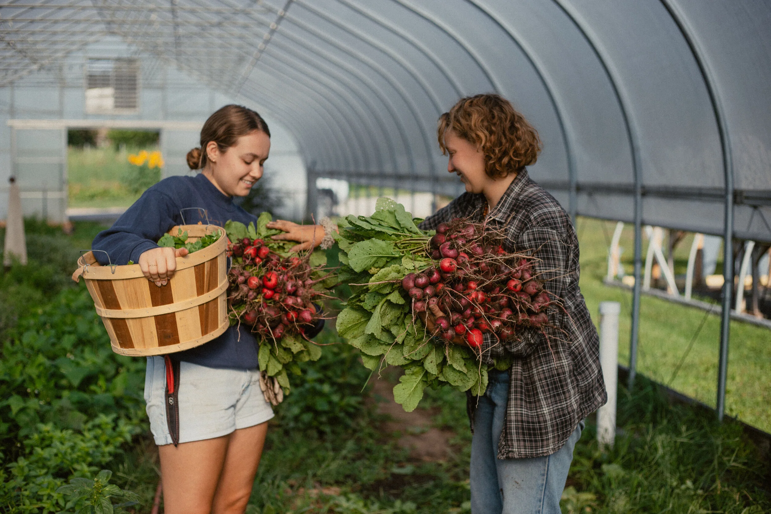Cold Frame Farm — Home
