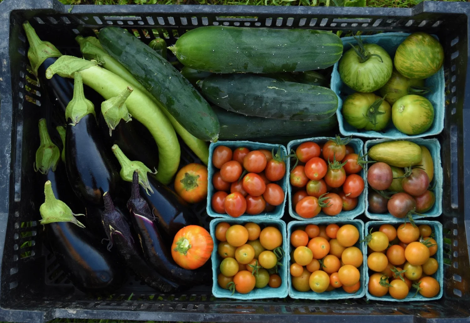 Cold Frame Farm — Home