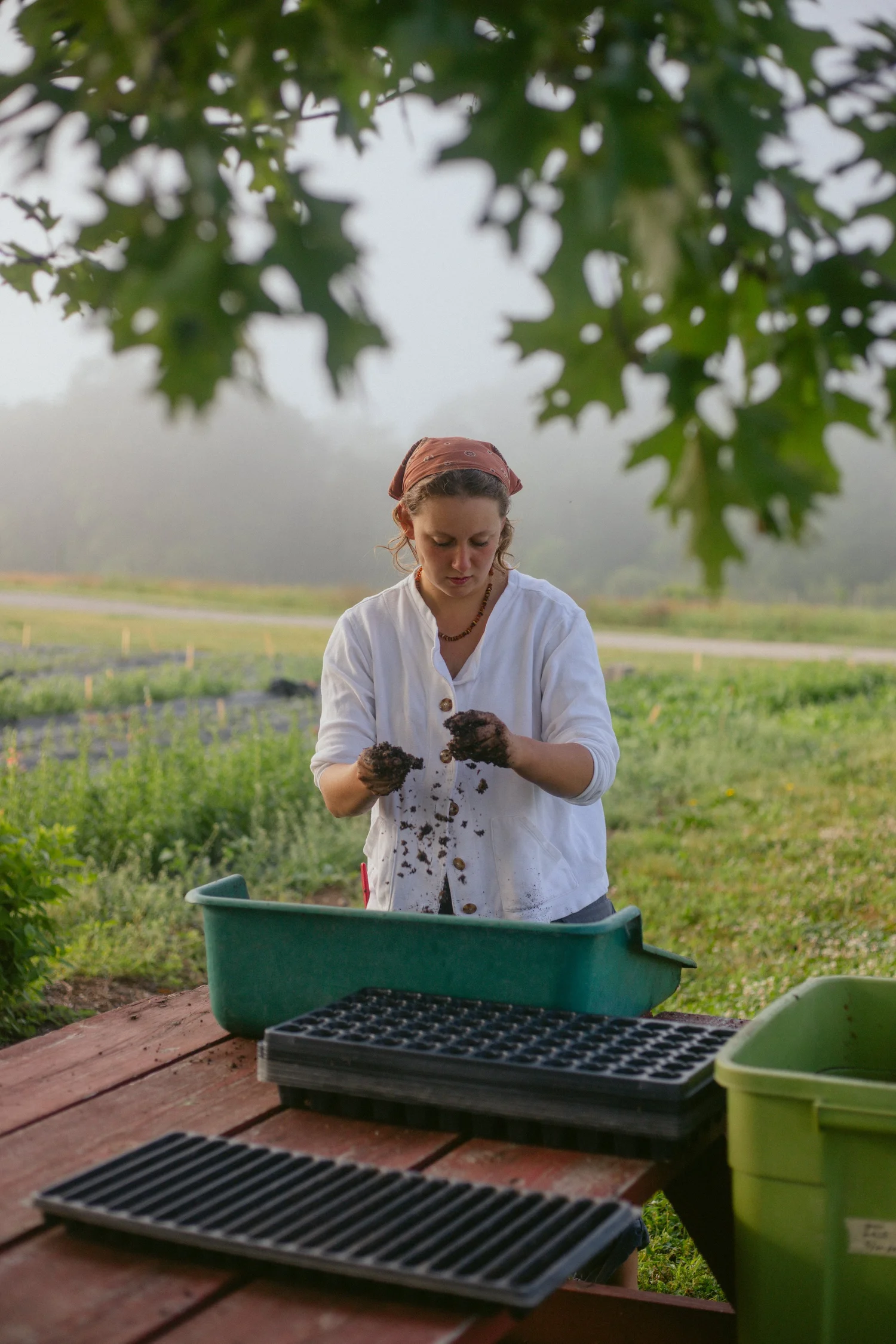 Cold Frame Farm — Home