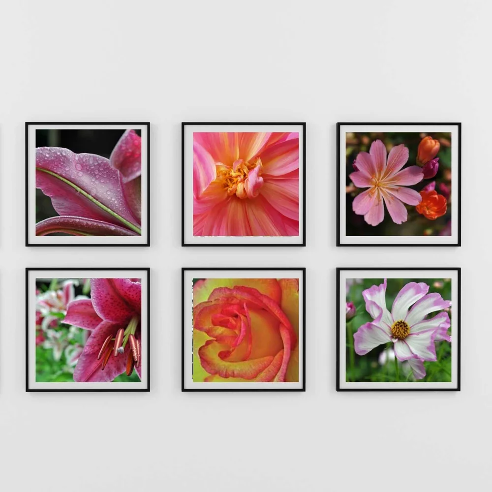 Things to Love About Nature Prints — Misty Gage | Mixed Media ...