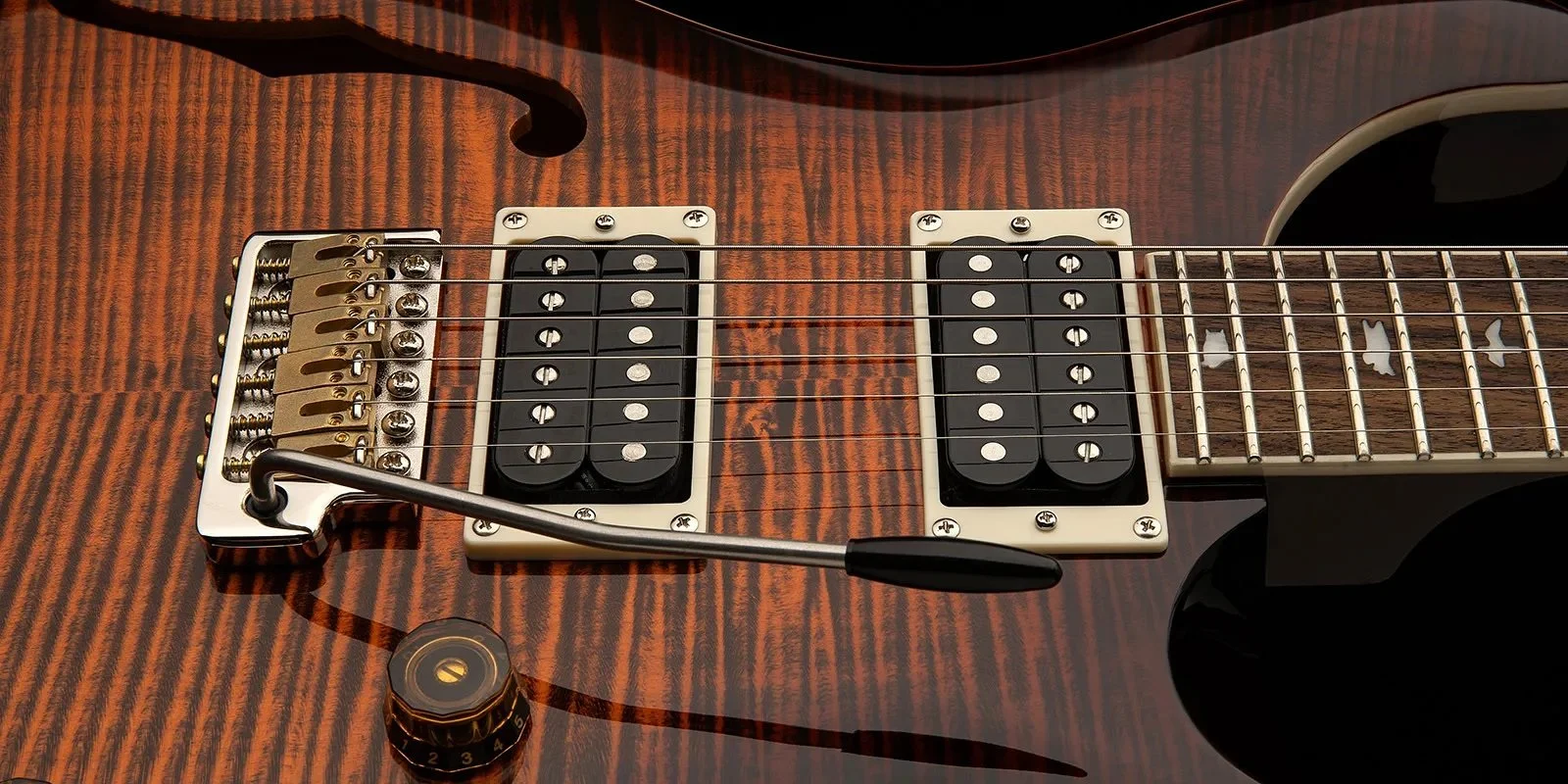 Review : PRS SE Custom 24 with Piezo — That Guitar Lover