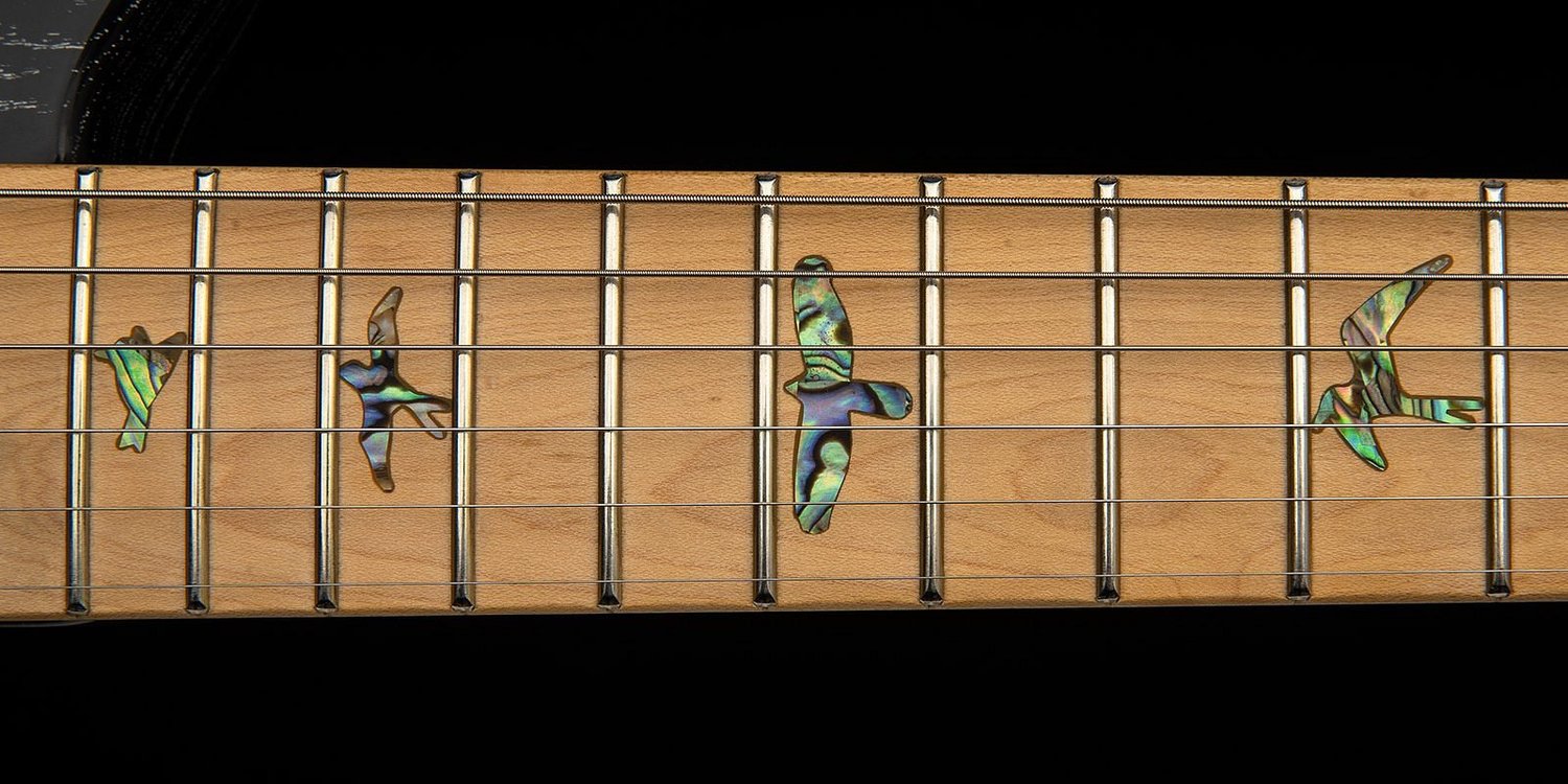 PRS SE NF53 — That Guitar Lover