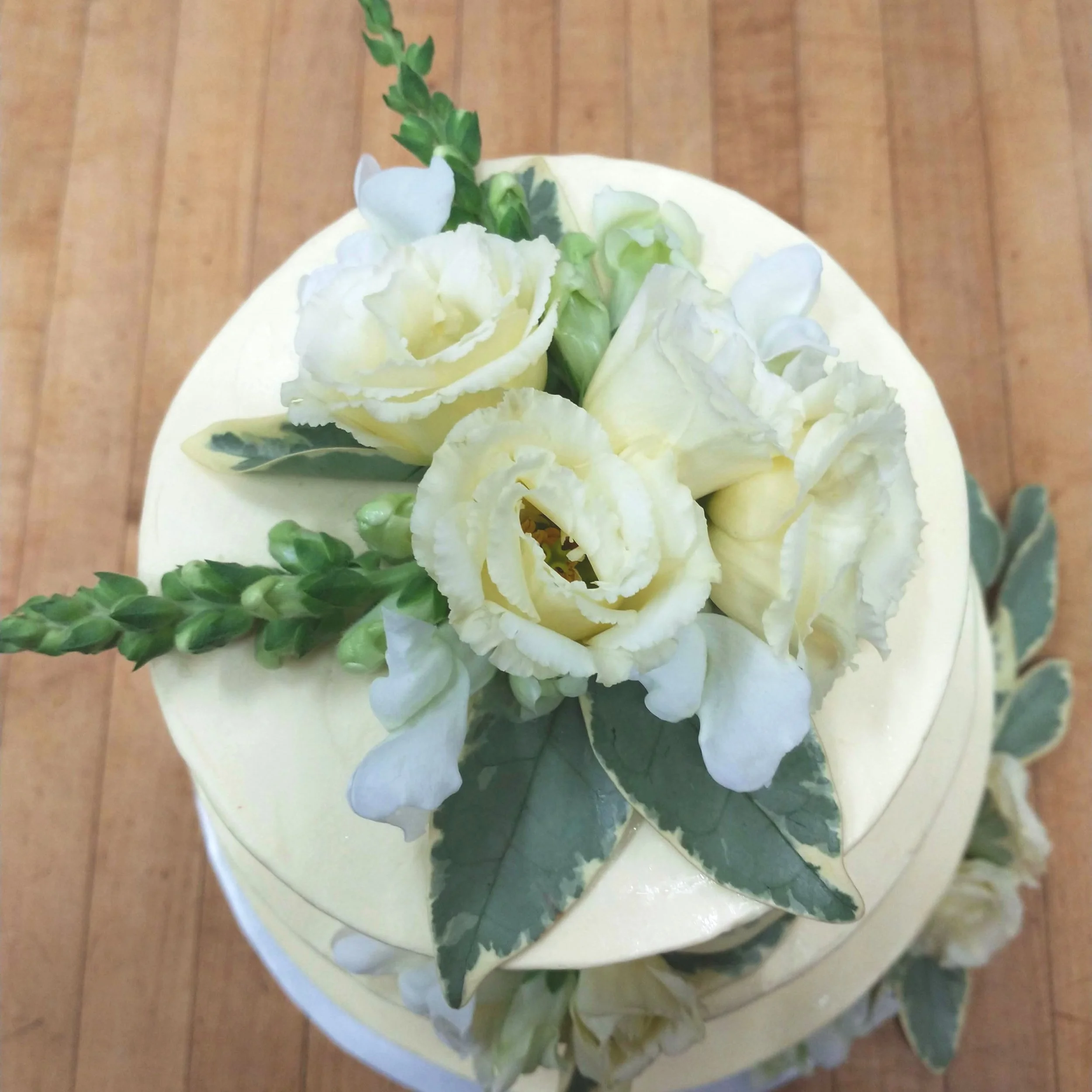 Shop — Honey Bee Bakery