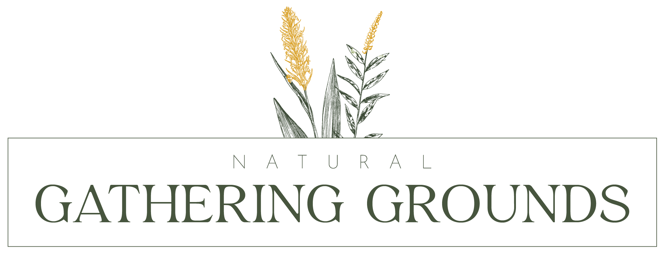 Natural Gathering Grounds - Weddings, Camping, Events - Edisto River, SC