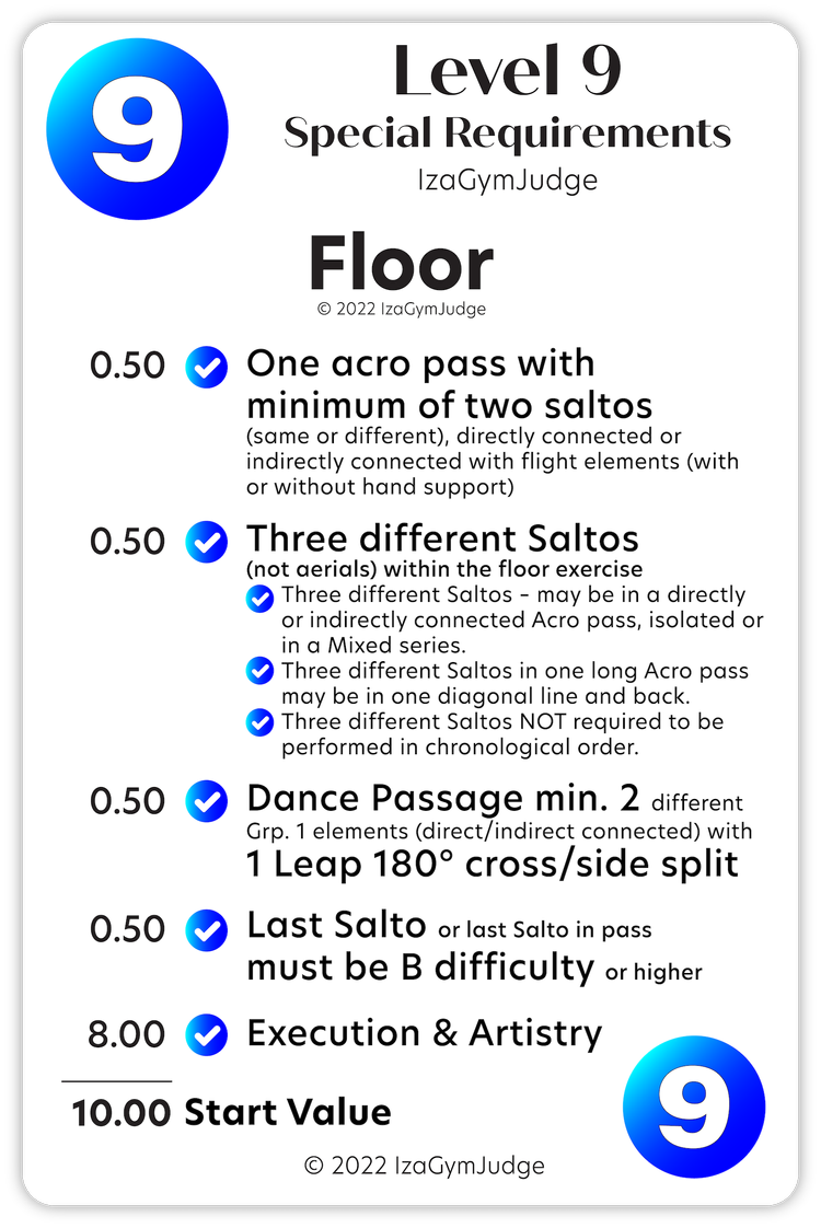 DP Gymnastics Level 9 — lzaGymJudge