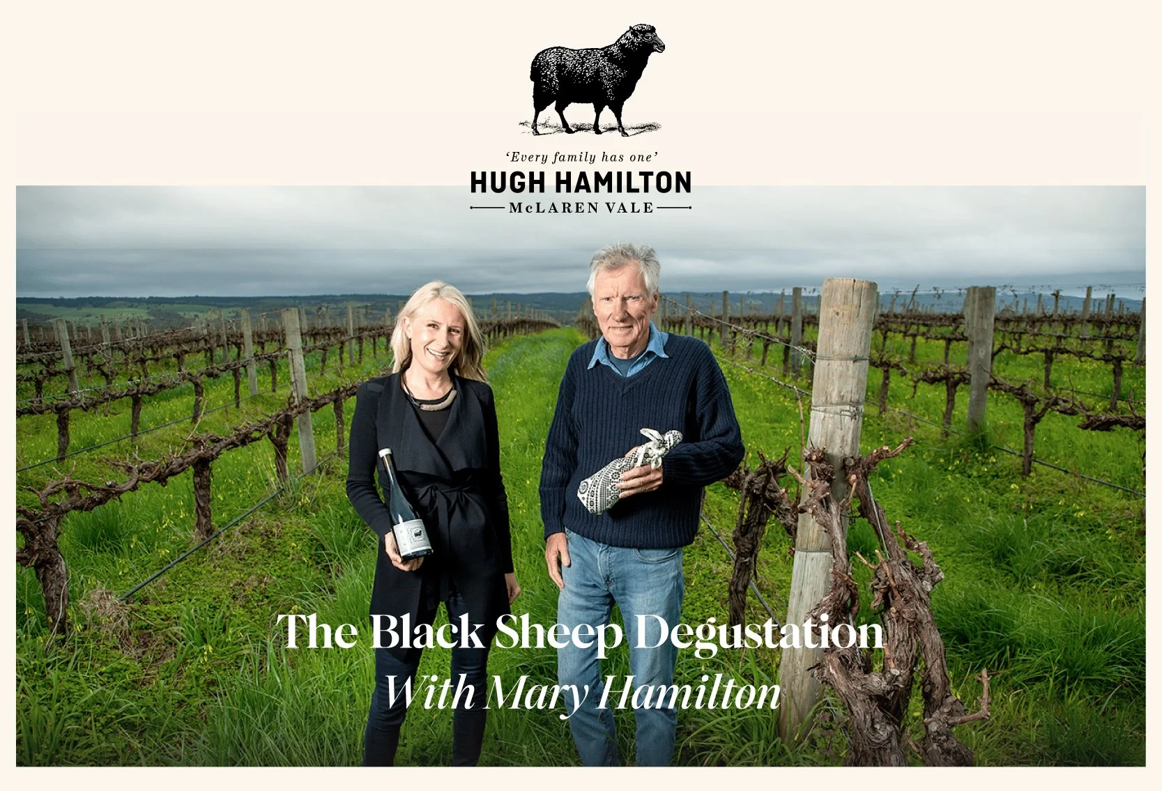 'The Black Sheep' Wine Degustation Presented by Mary Hamilton — Annata ...