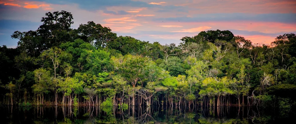 Andes-Amazon: Mid-Year Updates — Planet Women