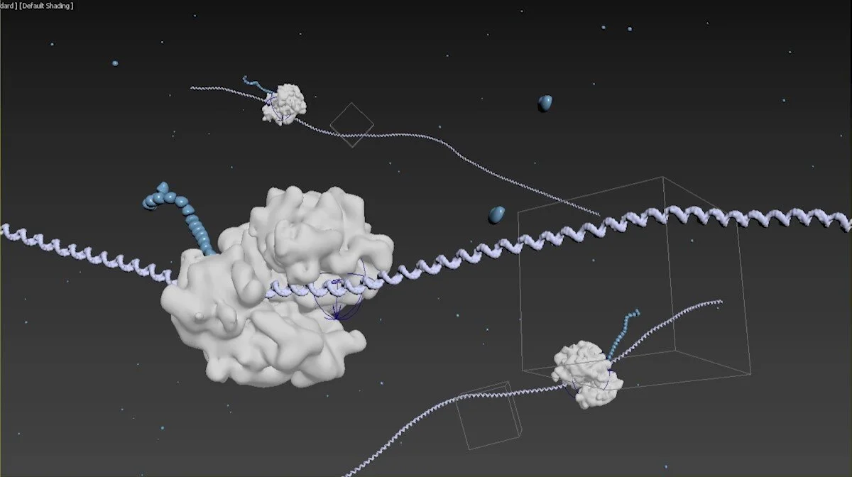 Thank You, Science animation | Emilyn Frohn