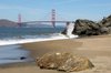 SAN FRANCISCO'S SECRET SPOTS AND HIDDEN GEMS — A Tendency to Travel