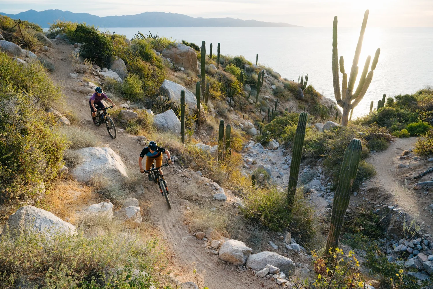 Epic Mountain Biking Journeys With Big Mountain Adventures