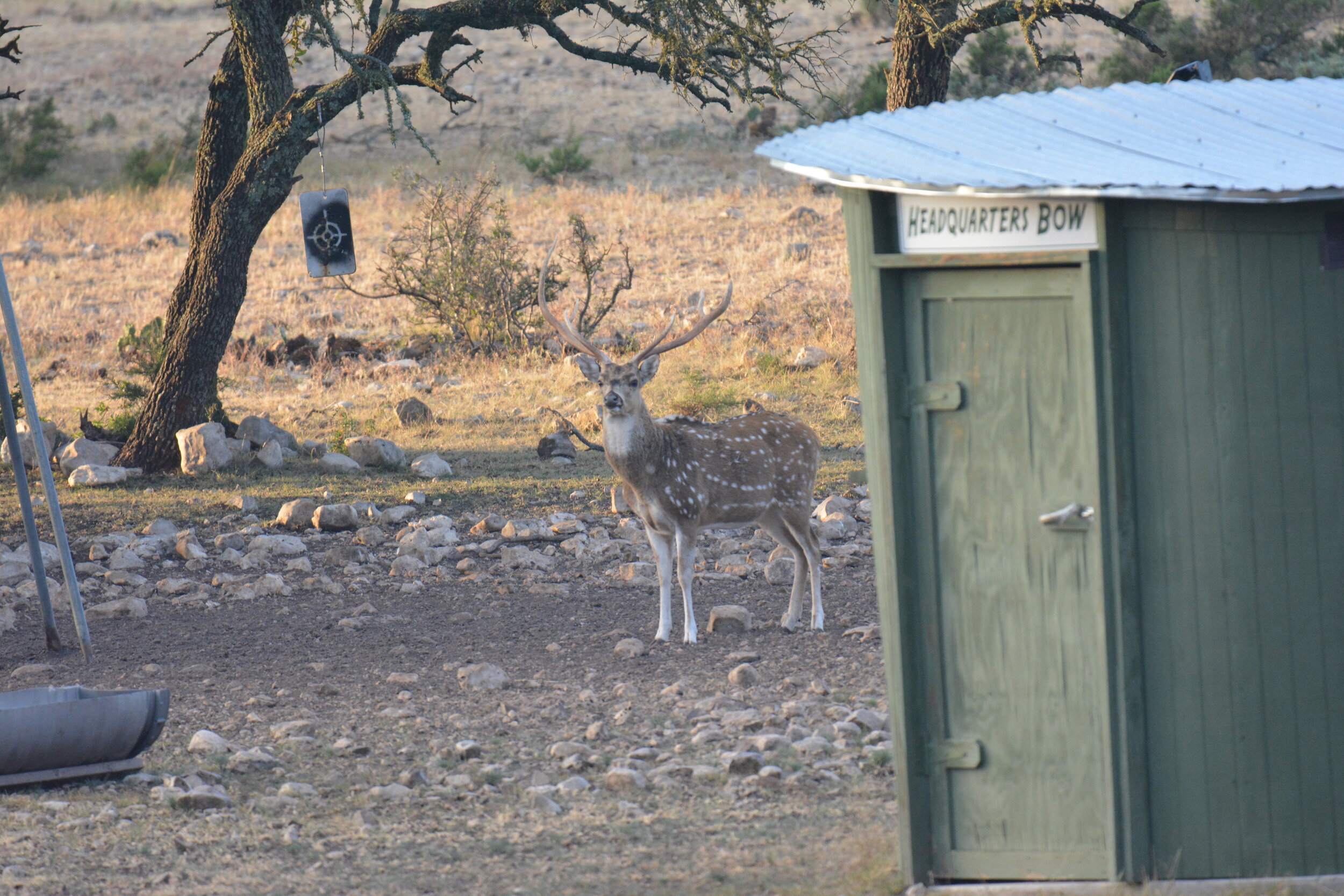 GALLERY — MUZUNGA RANCH