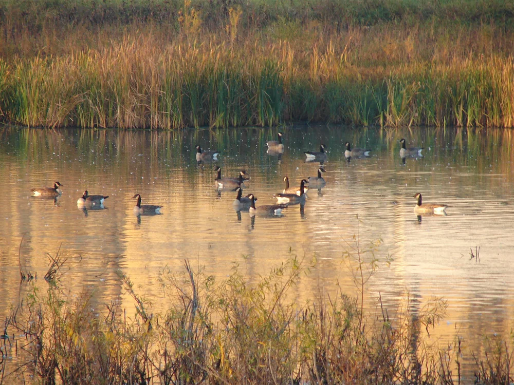 Bike & Hiking Trails | Golf Course | Recreation | Village of ...