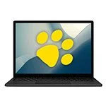 What's New — Yellow Dog Software