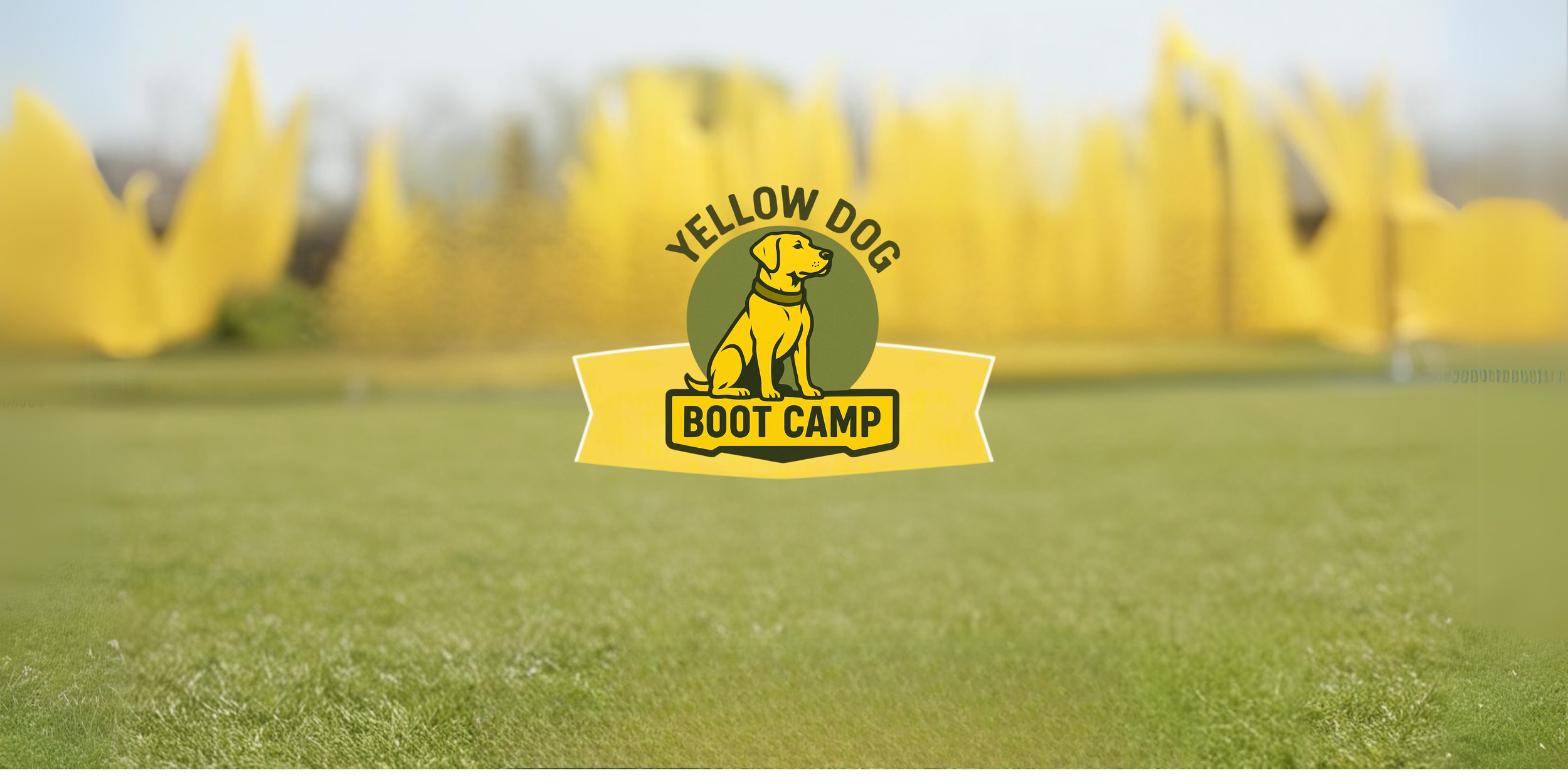 Boot Camp — Yellow Dog Software