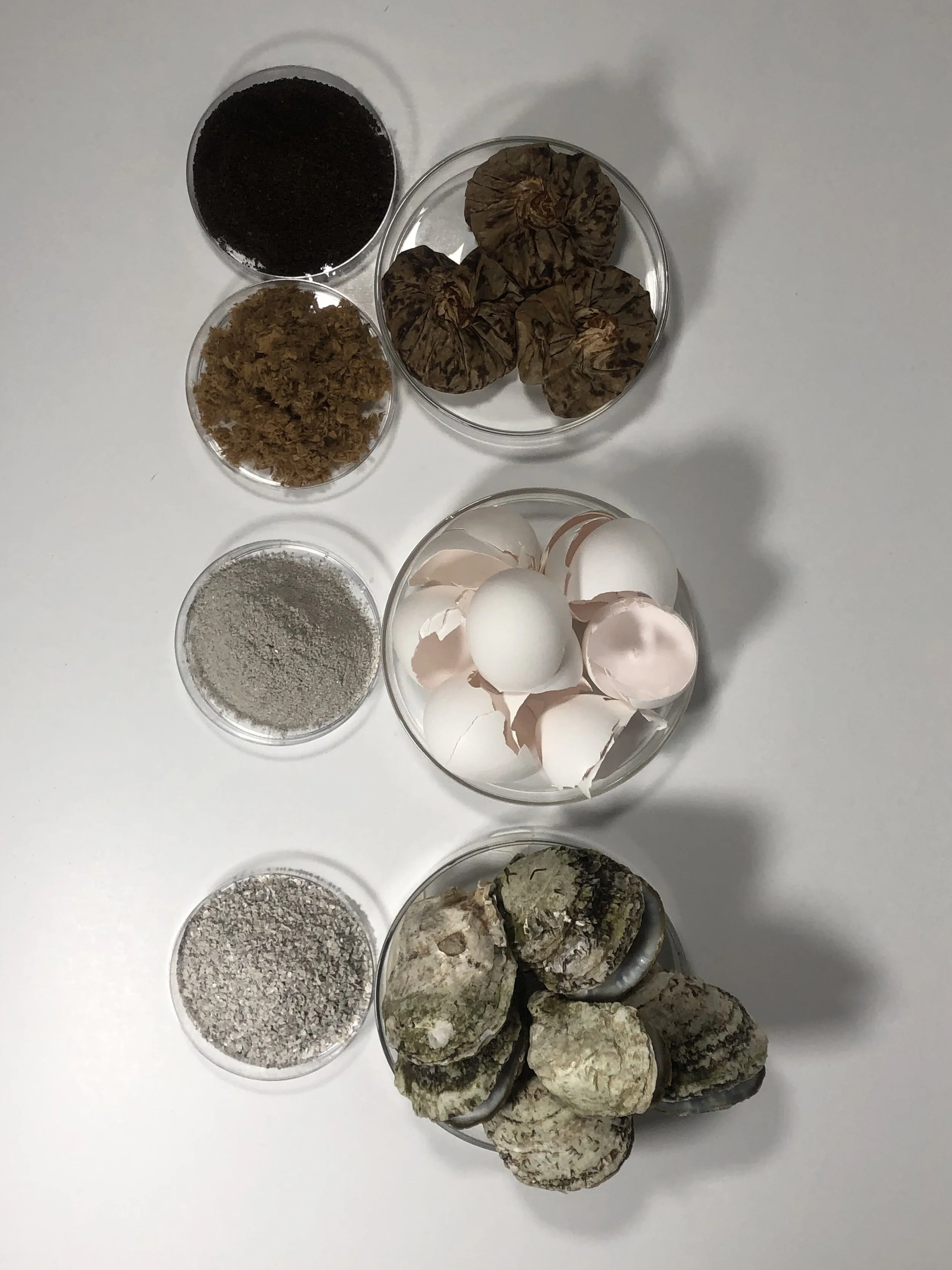 PROFILE — bioMATTERS