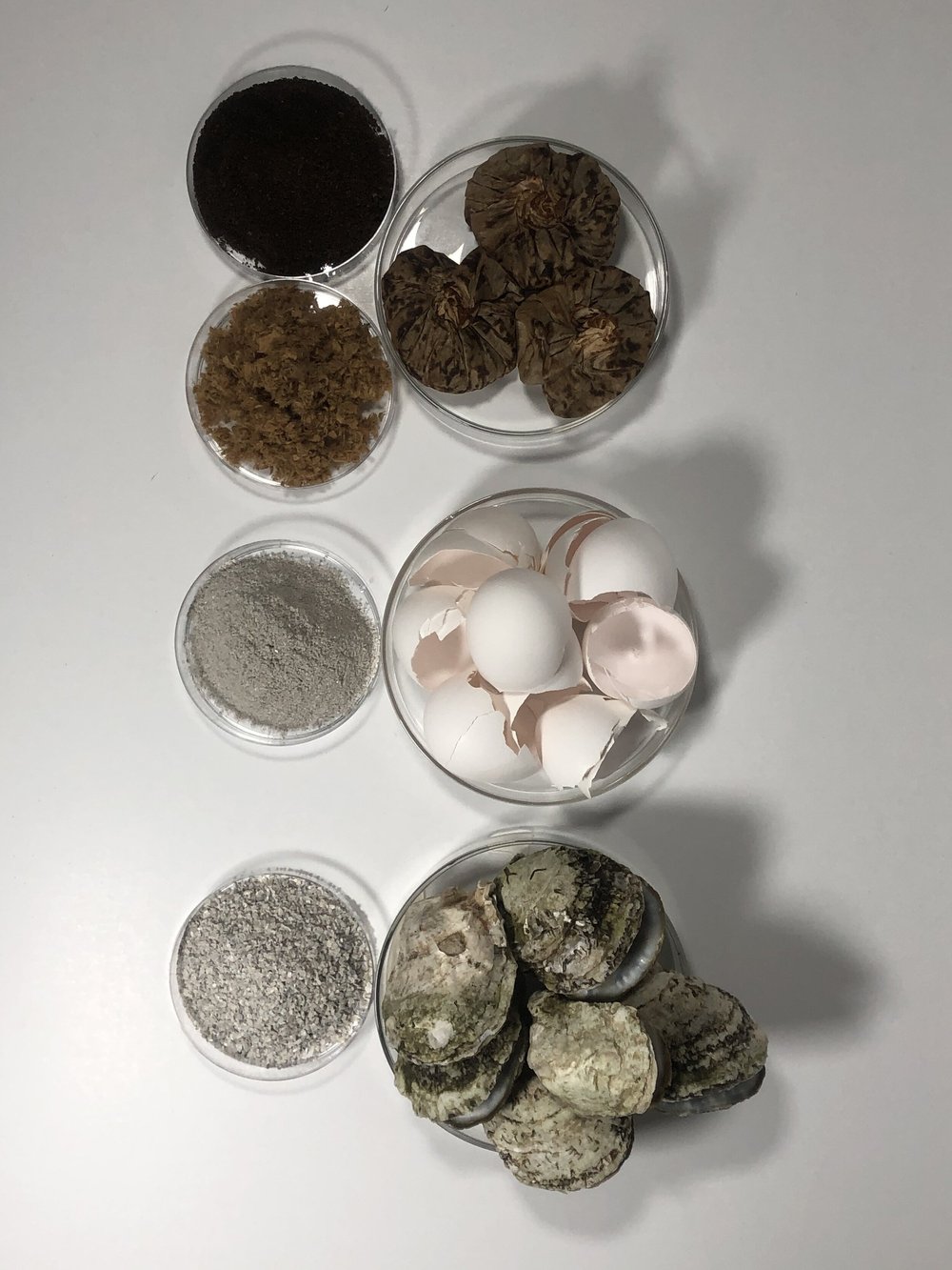 PROFILE — bioMATTERS