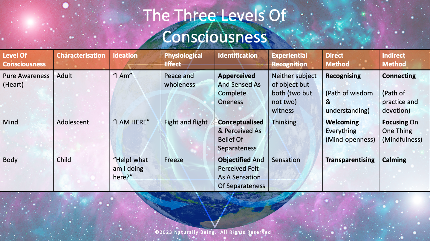 The Three Levels Of Consciousness — Naturally Being One