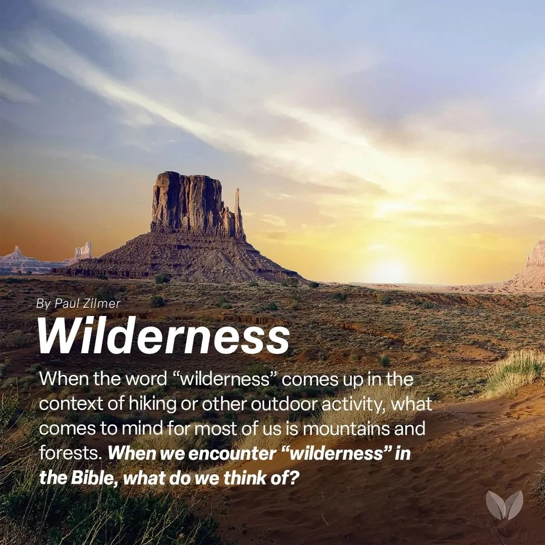 Wilderness — Williamsburg Christadelphian Foundation
