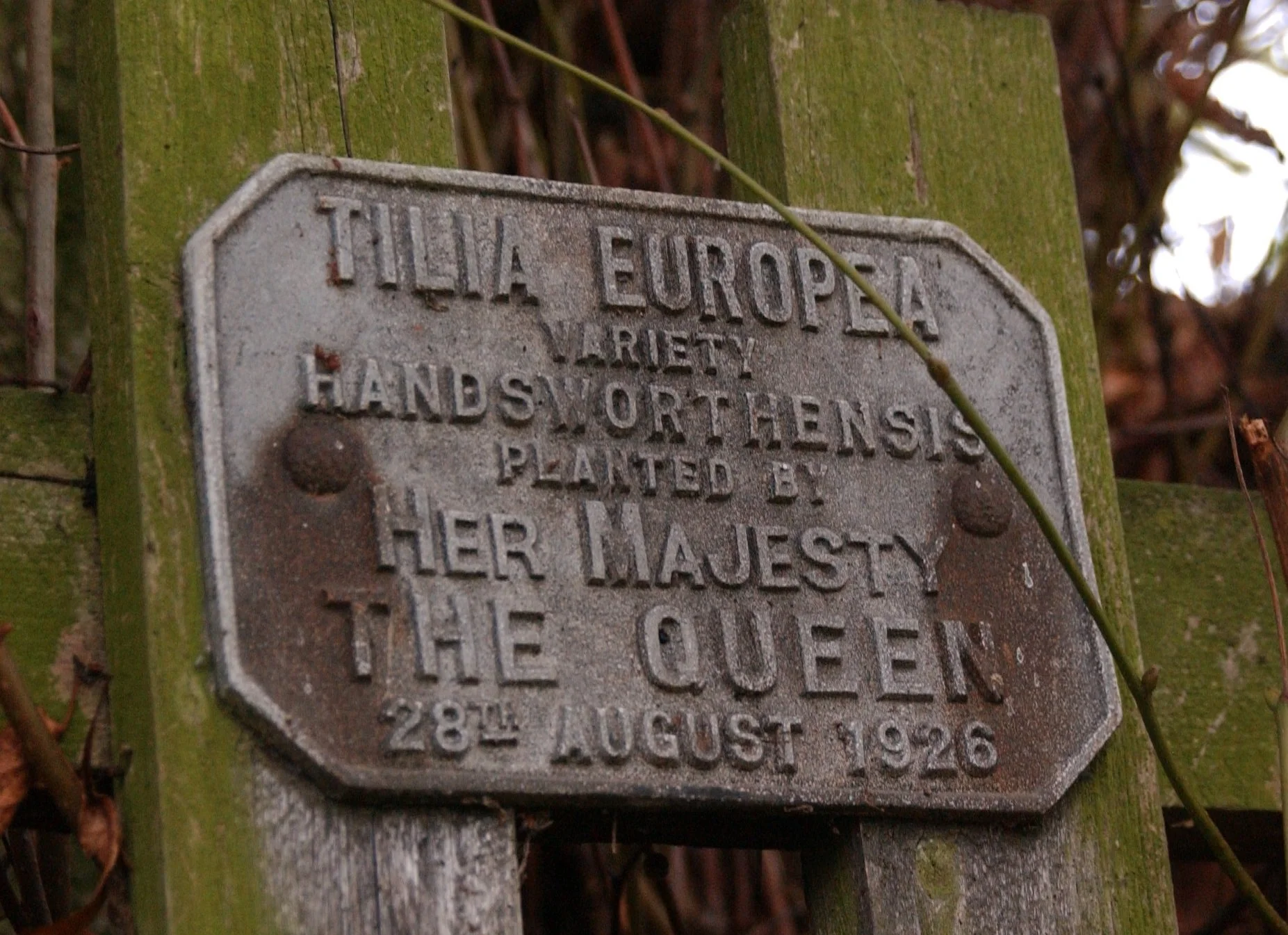 Celebrating Princess Mary's centenary at Goldsborough Hall ...