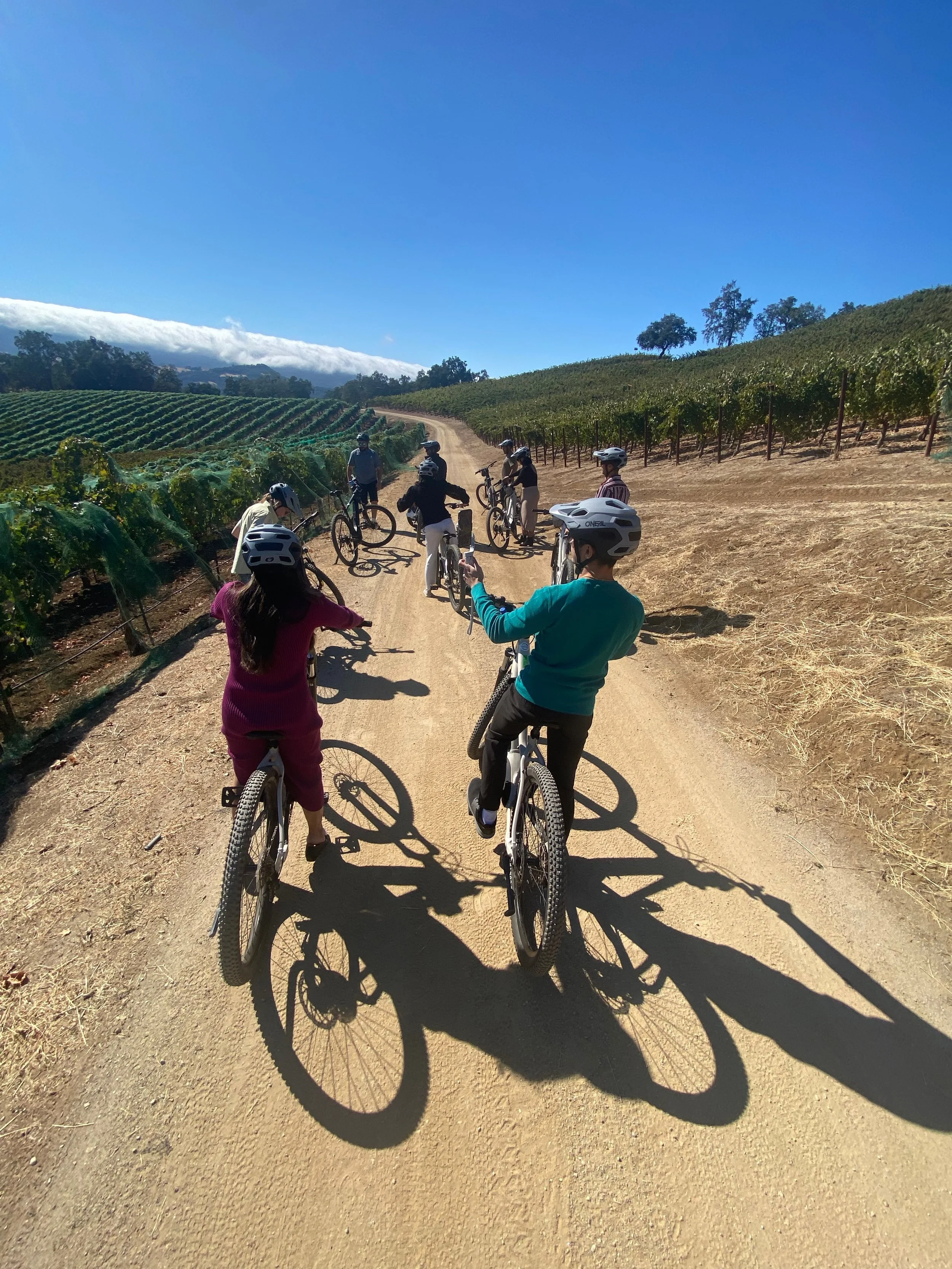 VineCycle e-Bike Vineyard Tours