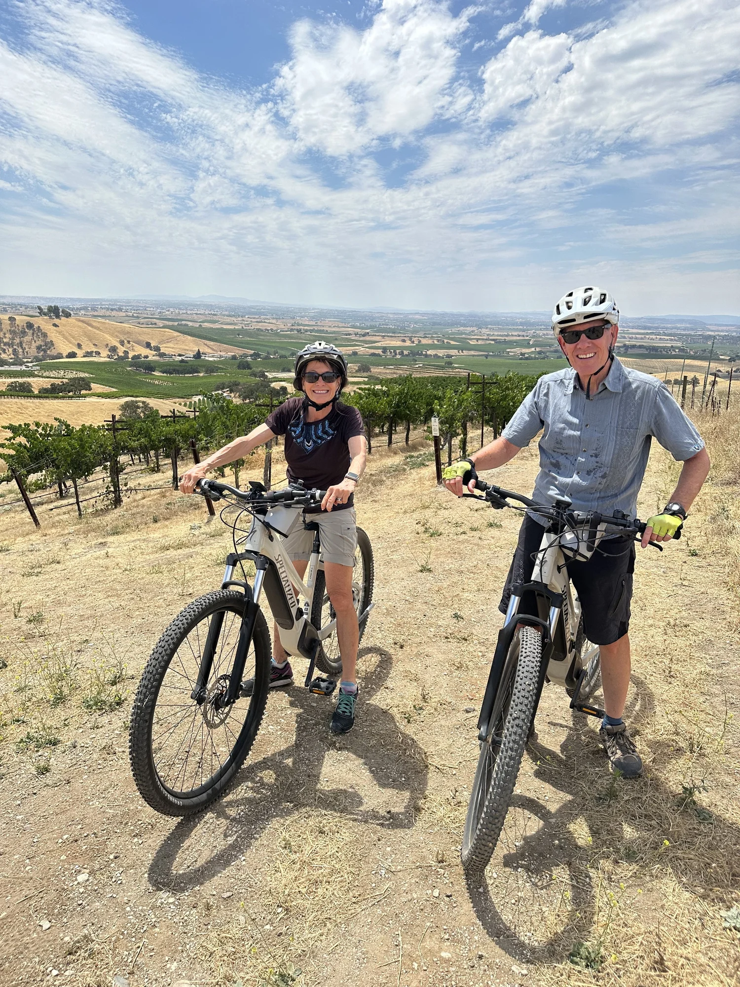 VineCycle e-Bike Vineyard Tours