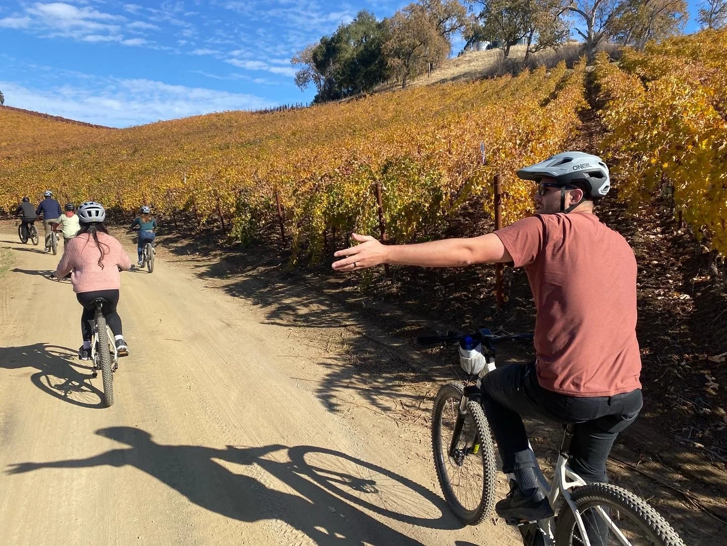 VineCycle e-Bike Vineyard Tours