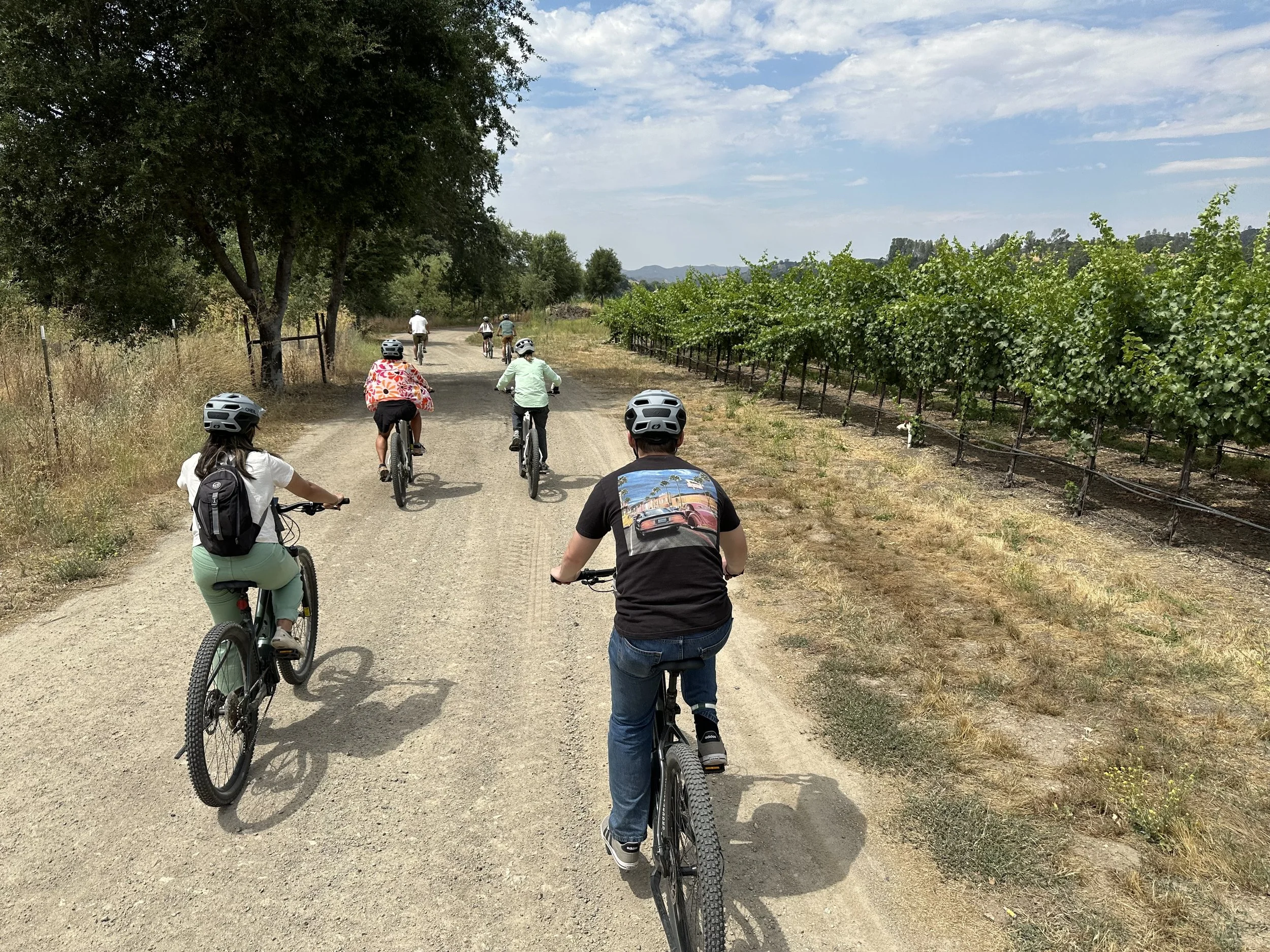 VineCycle e-Bike Vineyard Tours