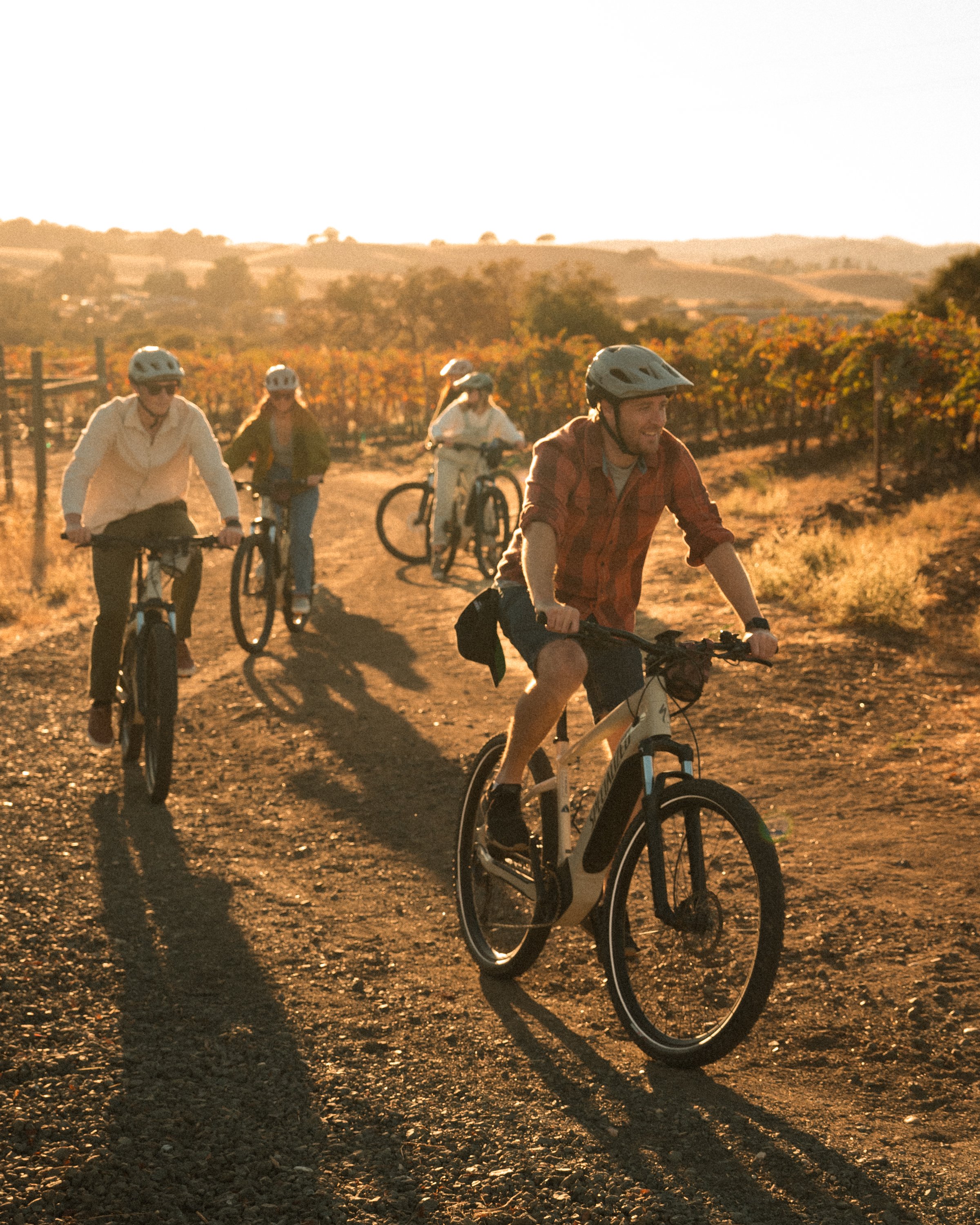 VineCycle e-Bike Vineyard Tours