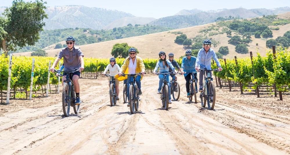 VineCycle e-Bike Vineyard Tours