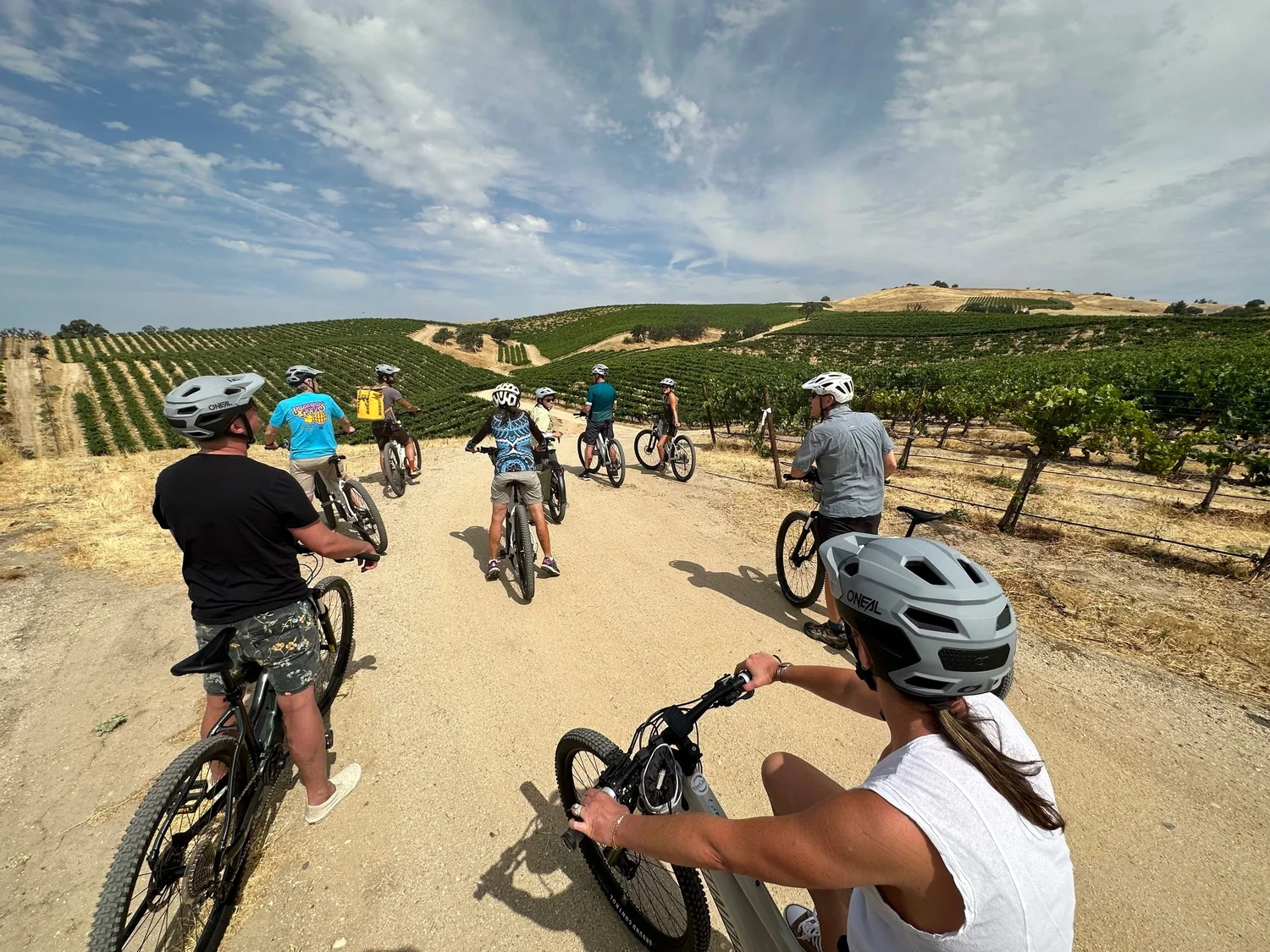 VineCycle e-Bike Vineyard Tours
