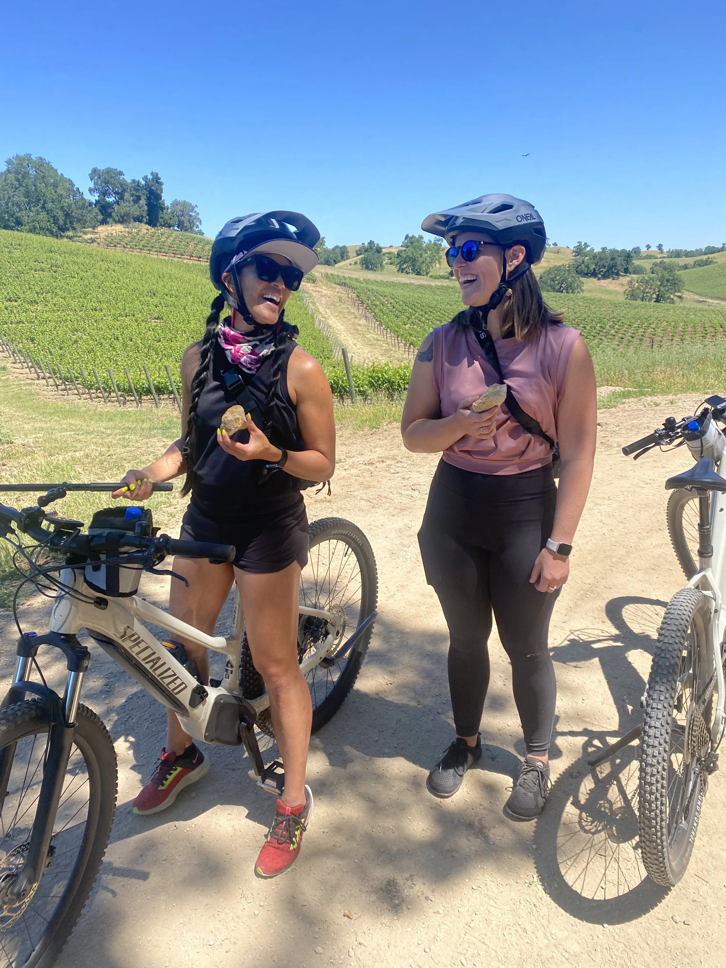 VineCycle e-Bike Vineyard Tours