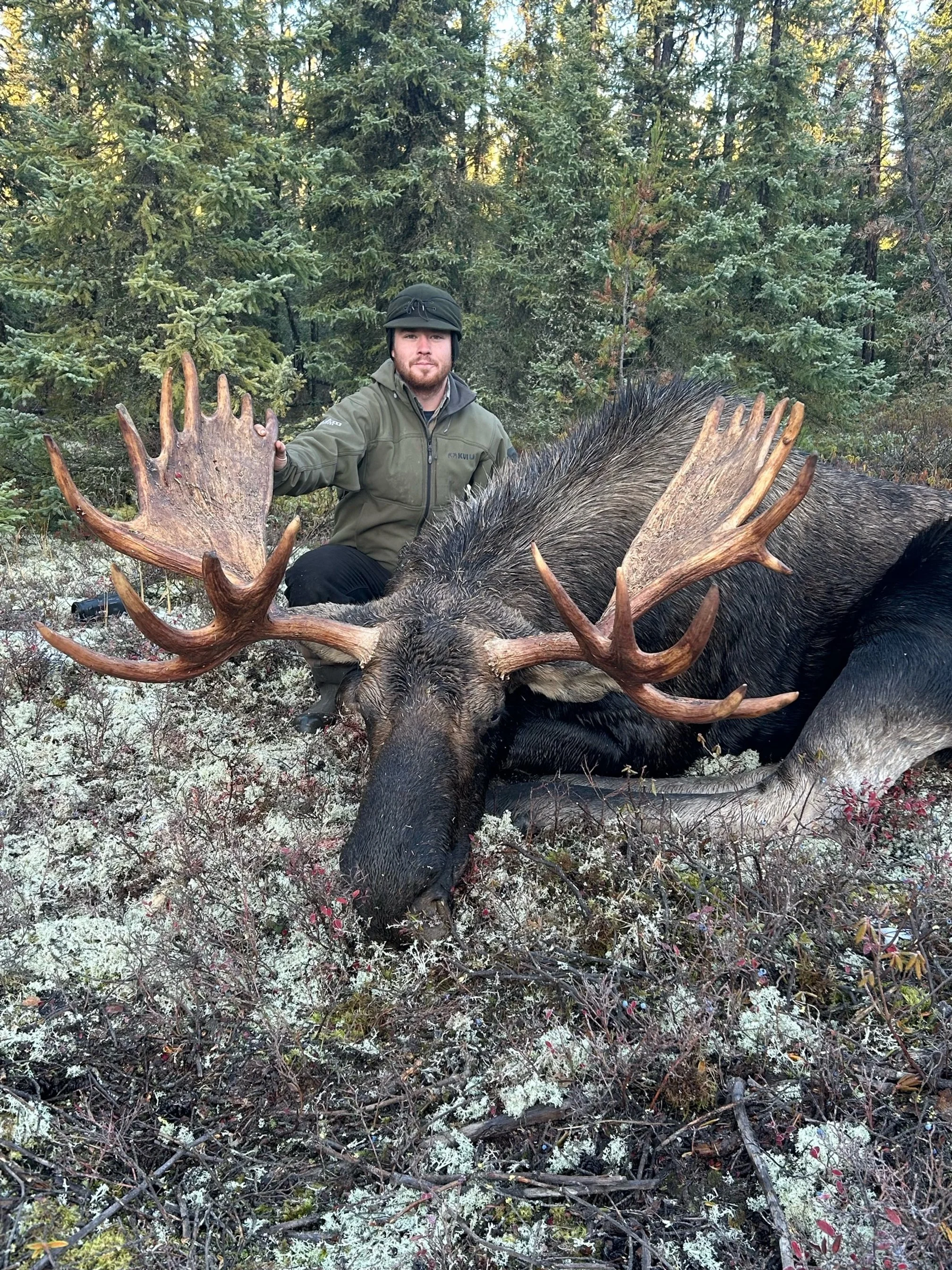 Alberta Fly in Moose Hunts — Bowen Lake Outfitters