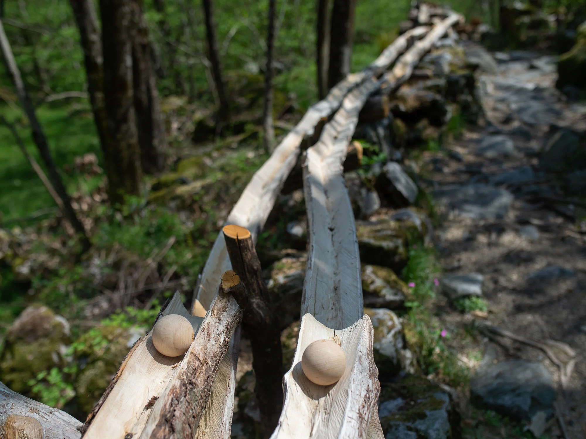 Boccia al bosco - EN — Associazione BoBosco