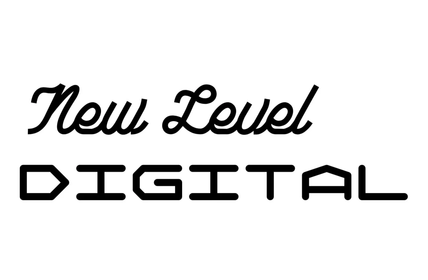 New Level Digital - Business Strategy & Consulting