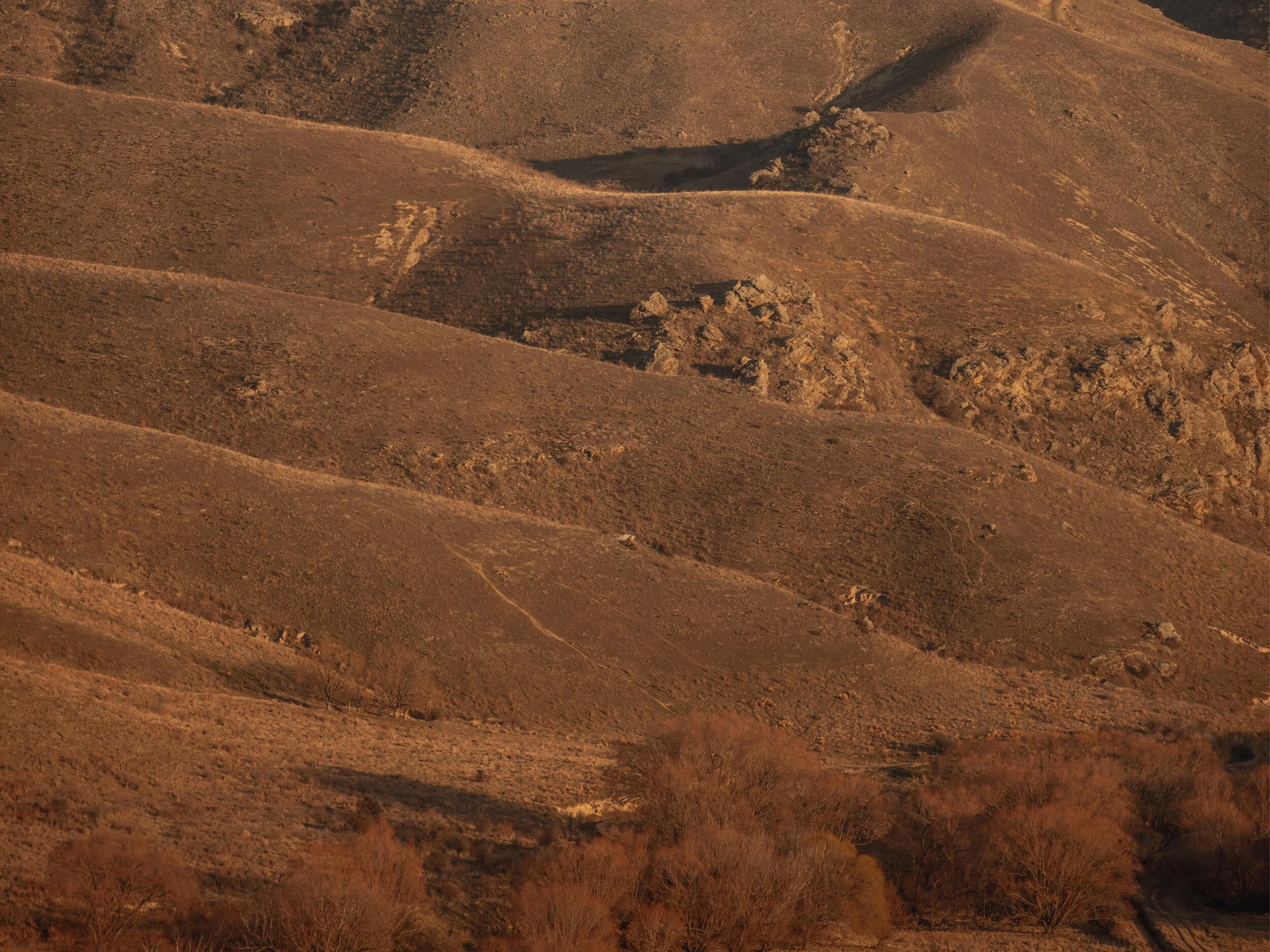 Whitestone Cheese — LIKEMINDS