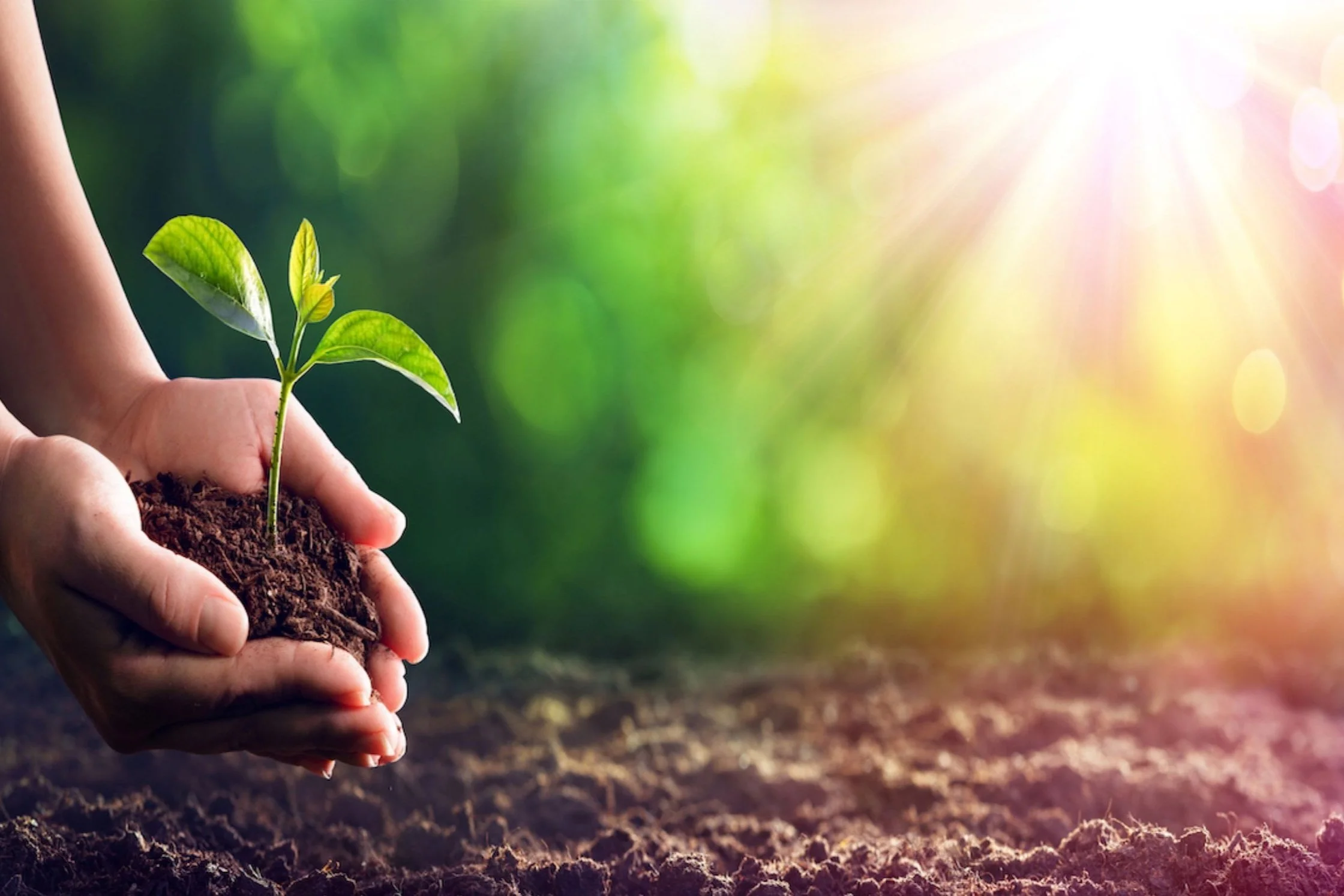 Rock Lake Conservation District