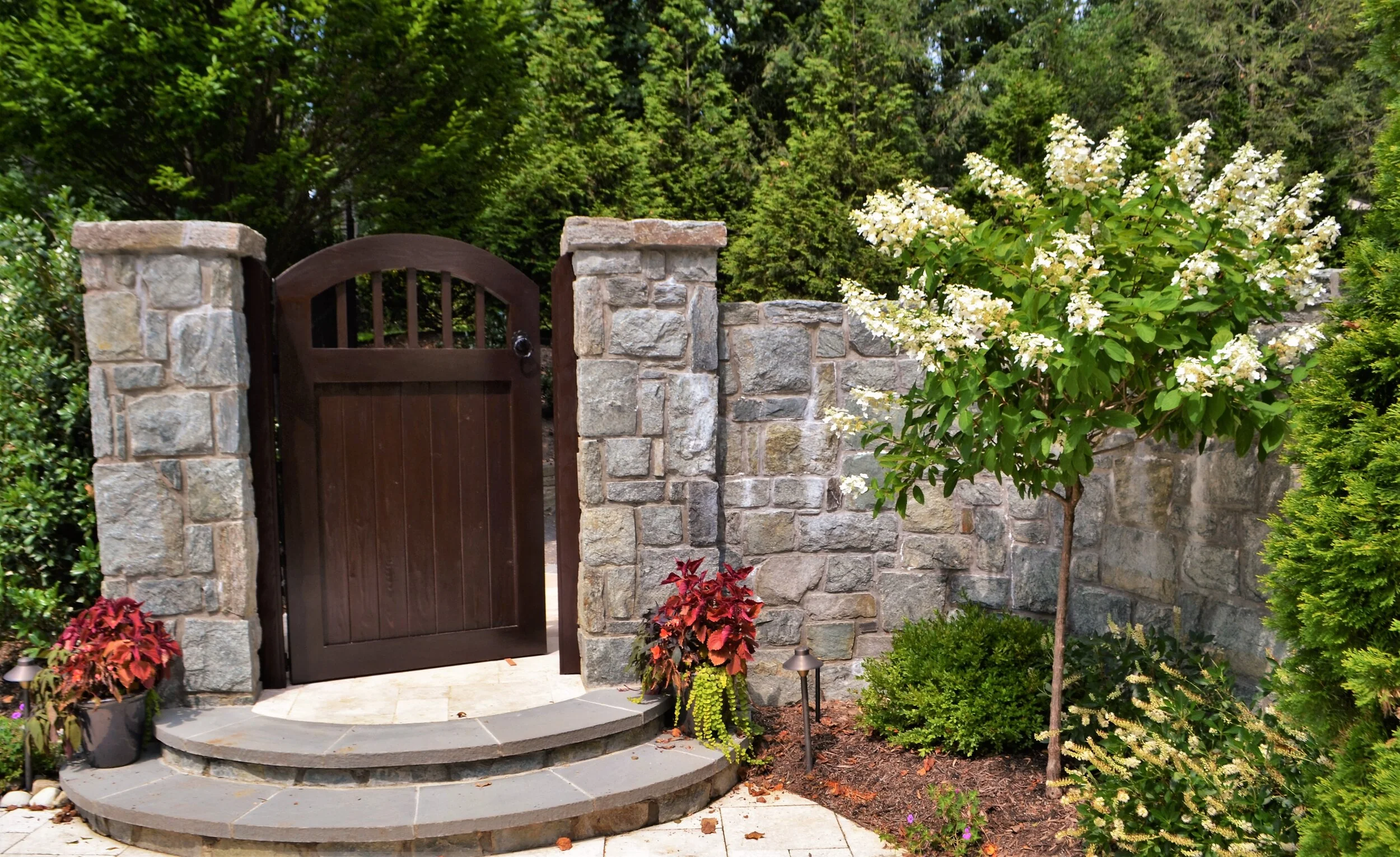 Garden Oasis — COLAO & PETER