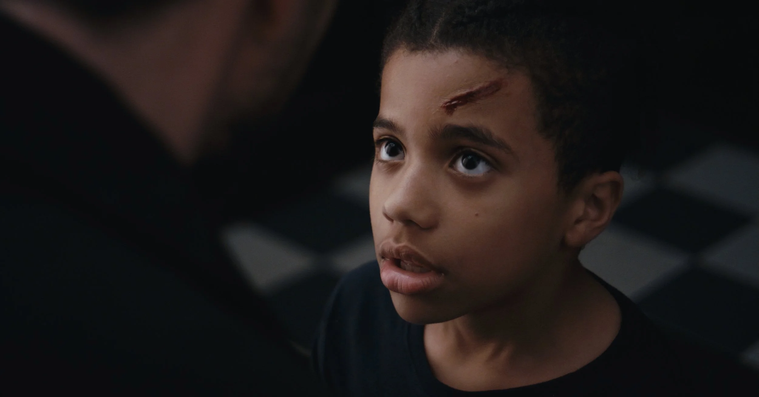 DANIEL TROYER | CINEMATOGRAPHER