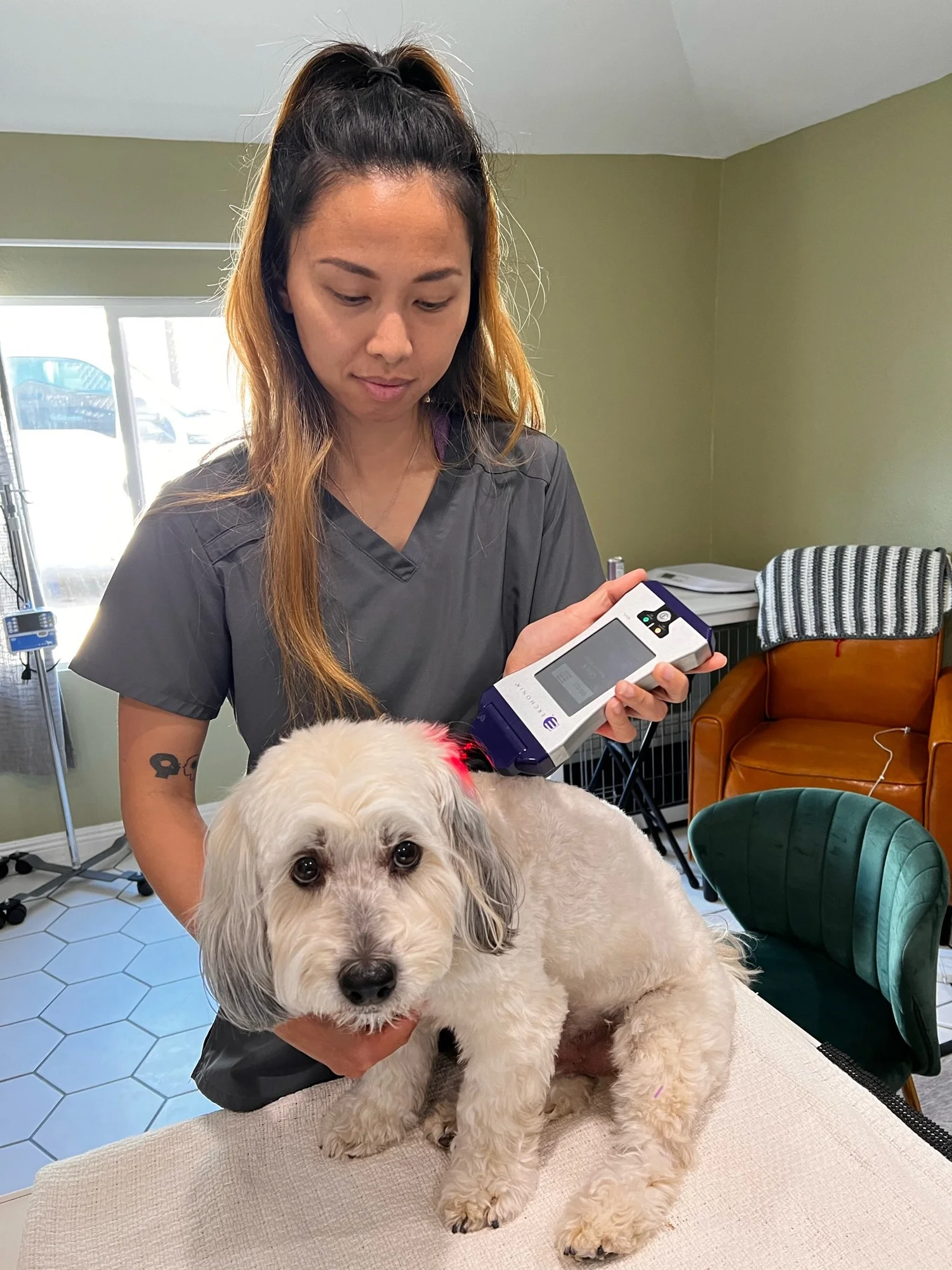 Holistika Veterinary