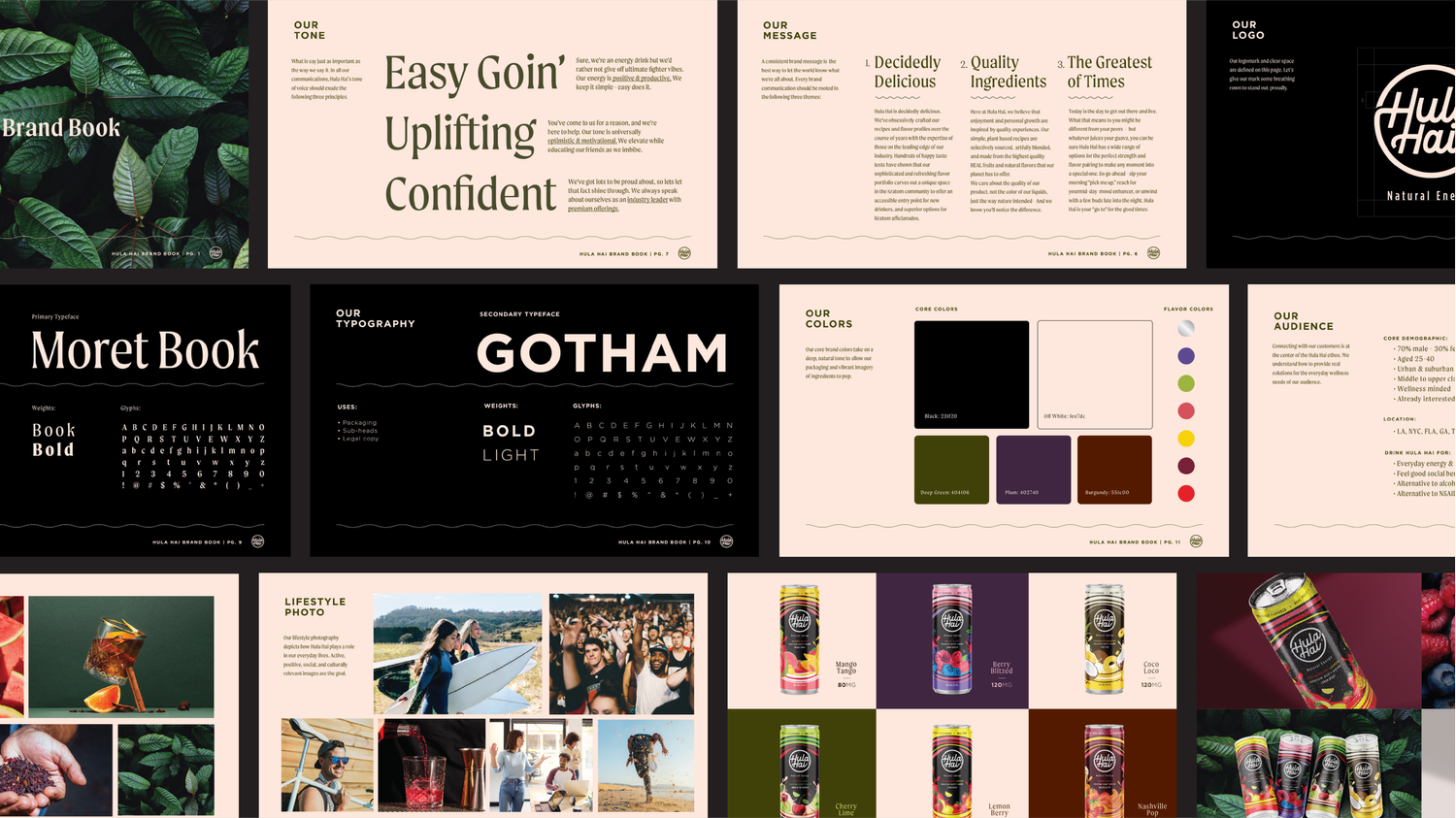Hula Hai Brand Identity — HiFi Brands
